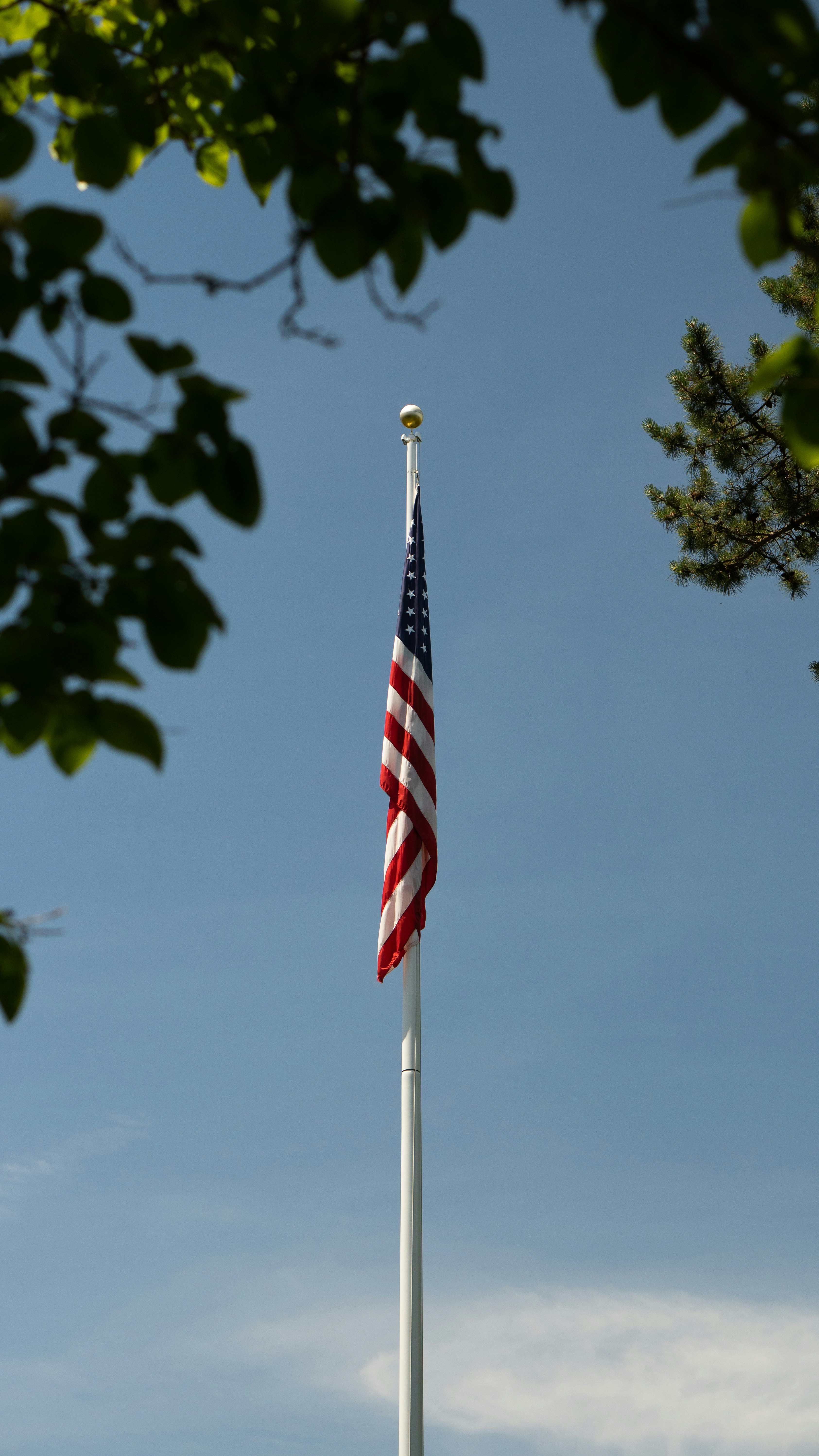 American flag waving proudly atop a tall pole, framed by lush green leaves against a clear blue sky.
