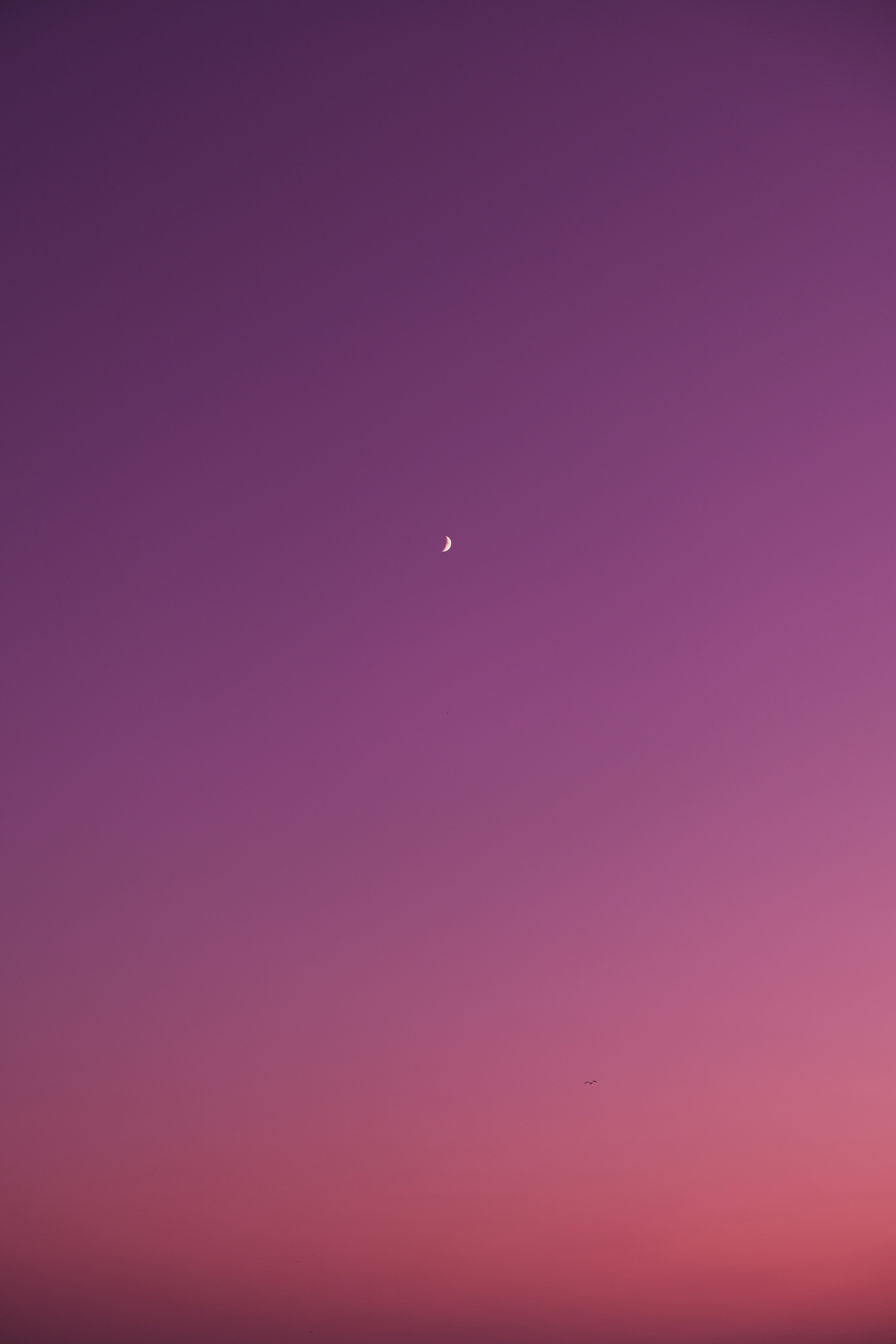 Crescent in a Velvet Twilight: A Quiet Gradient Sky