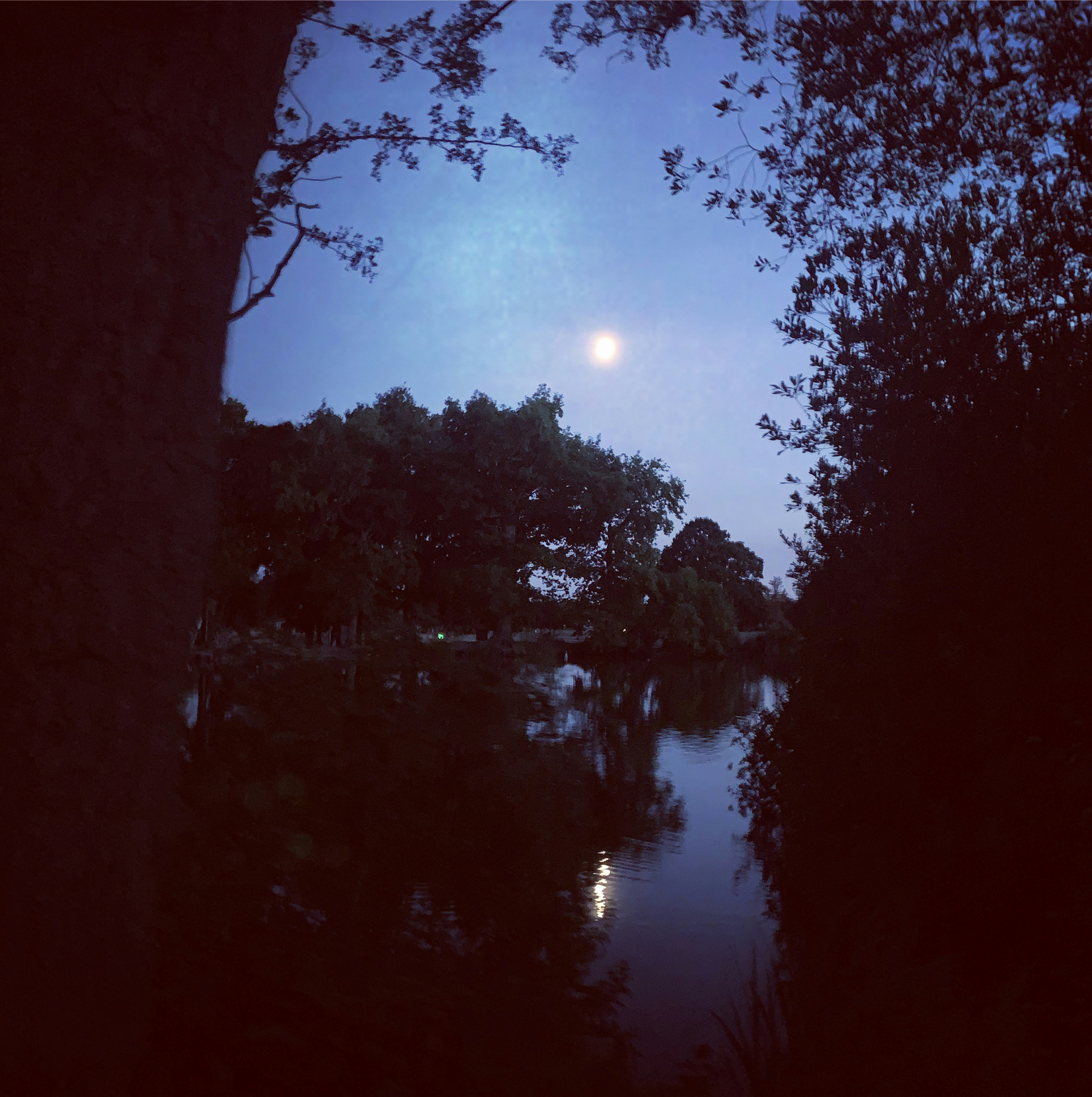 nightlife.