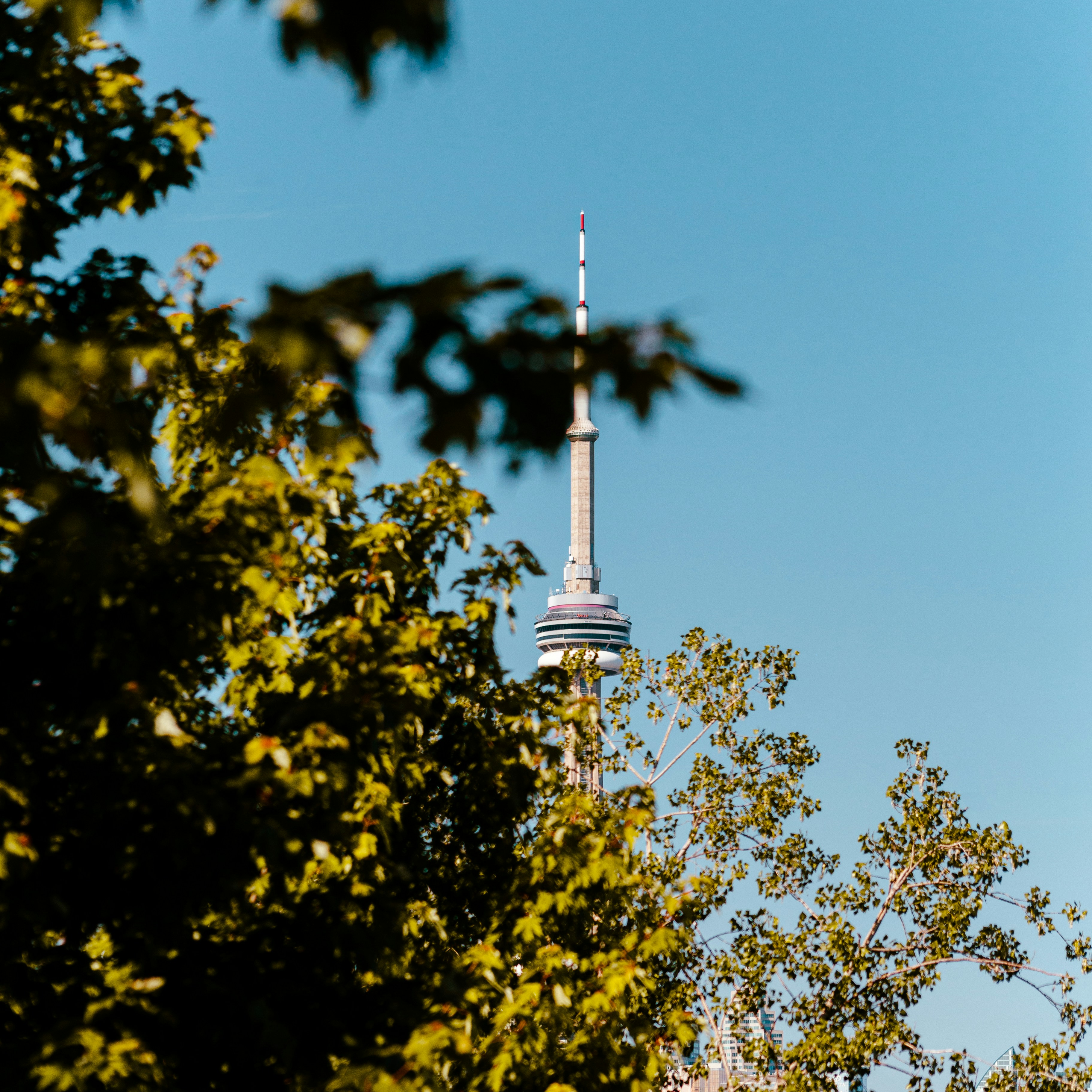 Photo by Maxim Klimashin with Canon EOS 6D