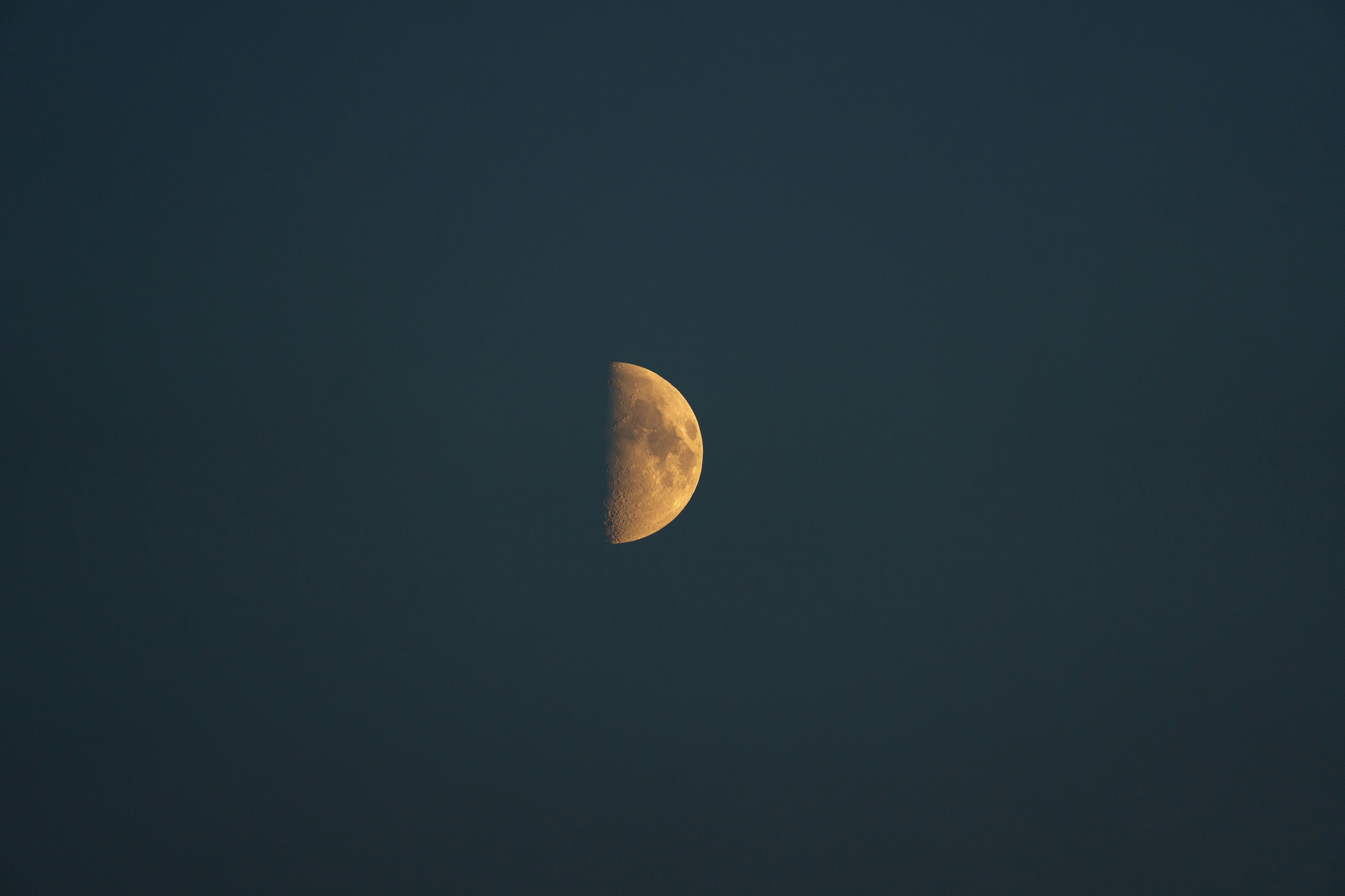 Lunar Elegance: A Half-Moon's Serenade