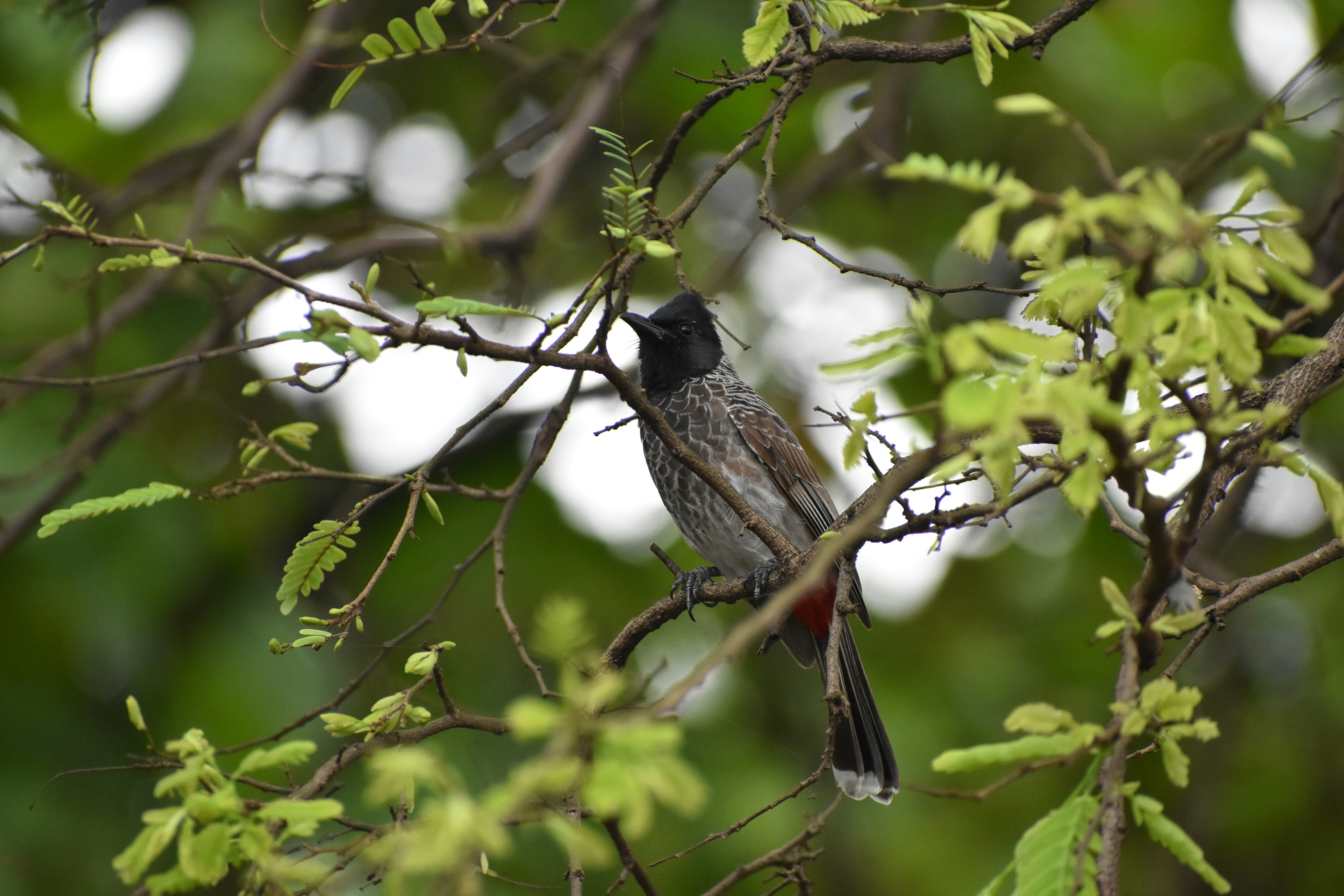 Photo by komal G with Nikon D3400