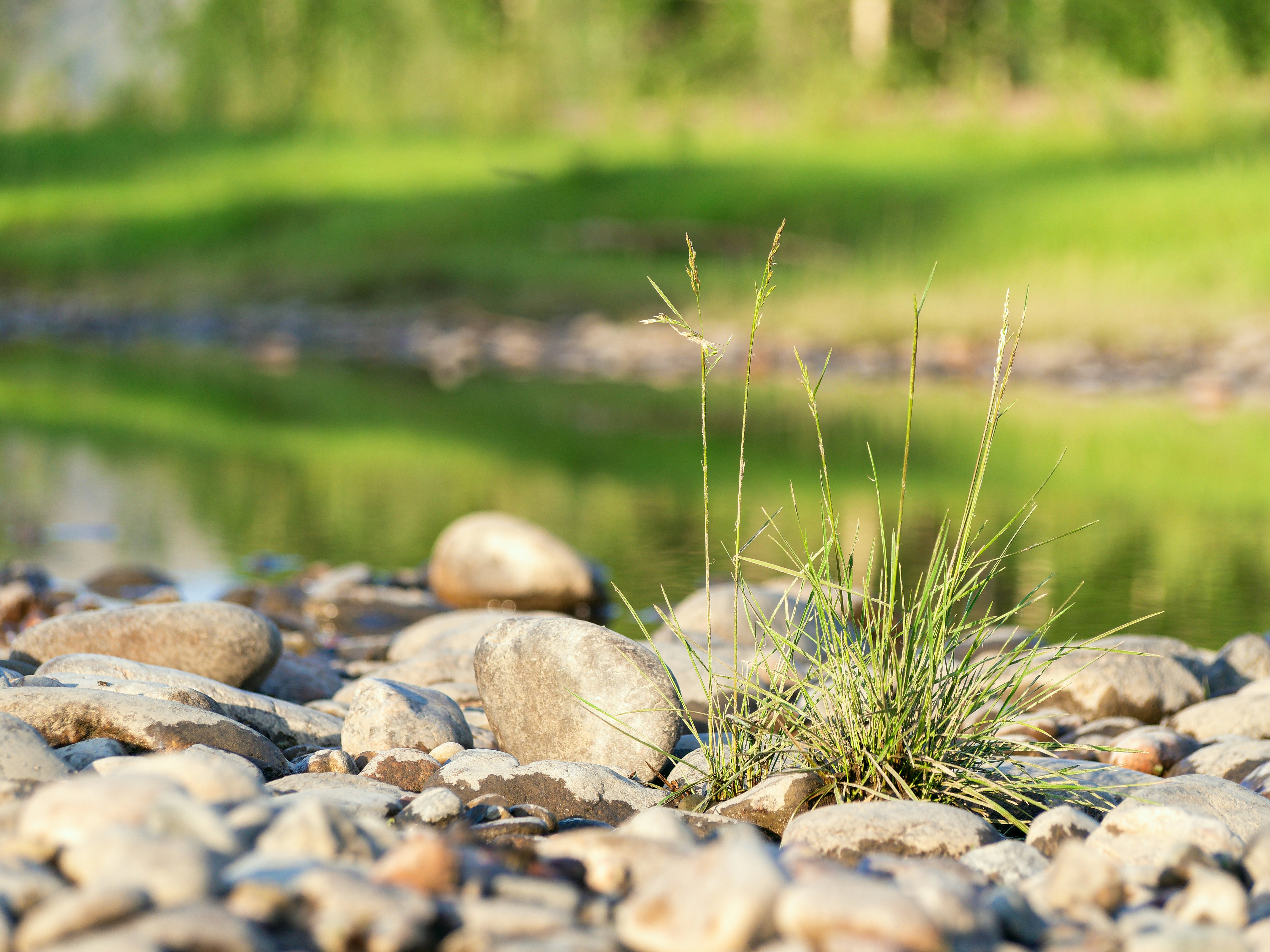 Photo by Albert Kuular with Olympus OM-D E-M10 Mark II