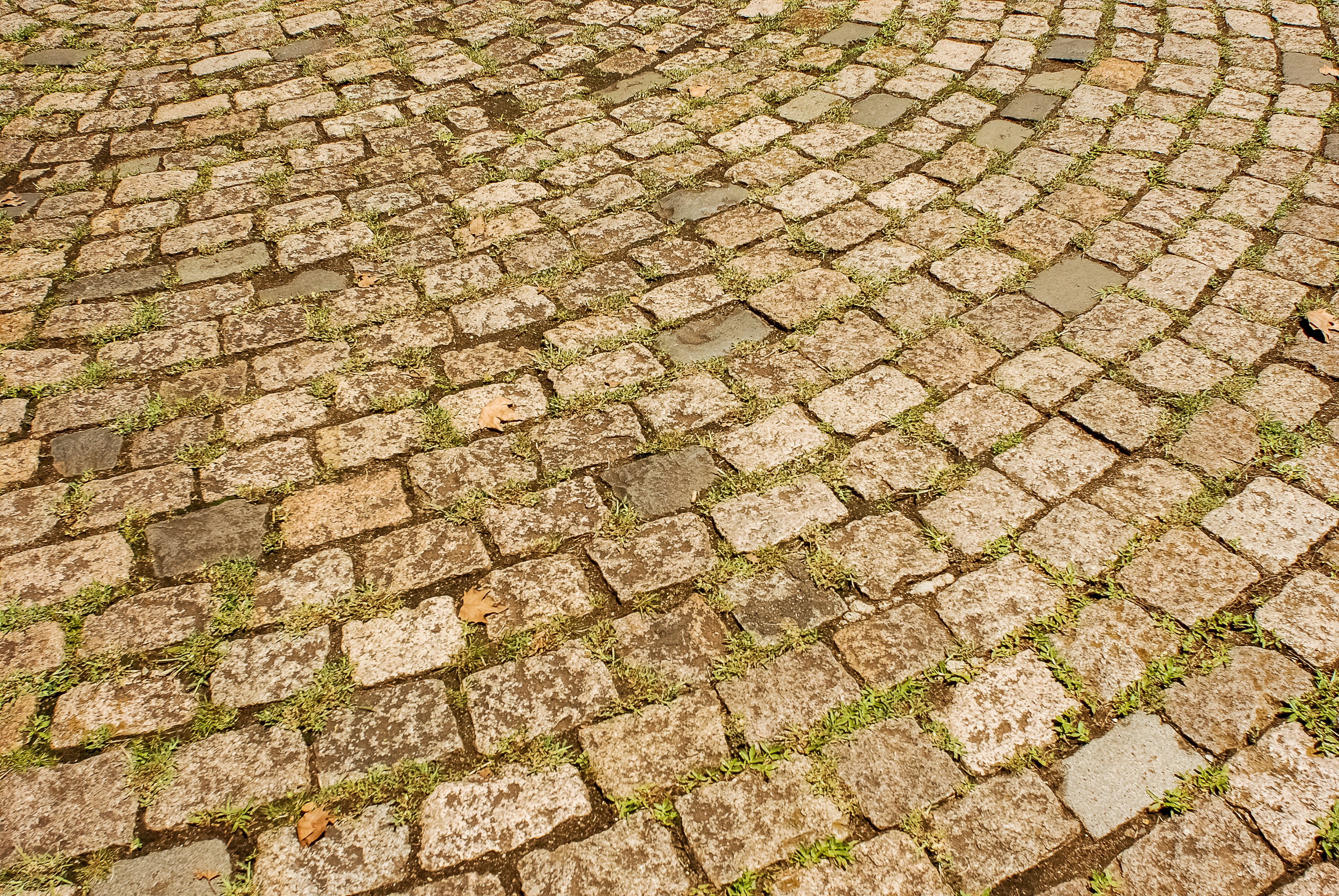 A cobblestone road with a cobblestone path photo – Free Garden Image on ...