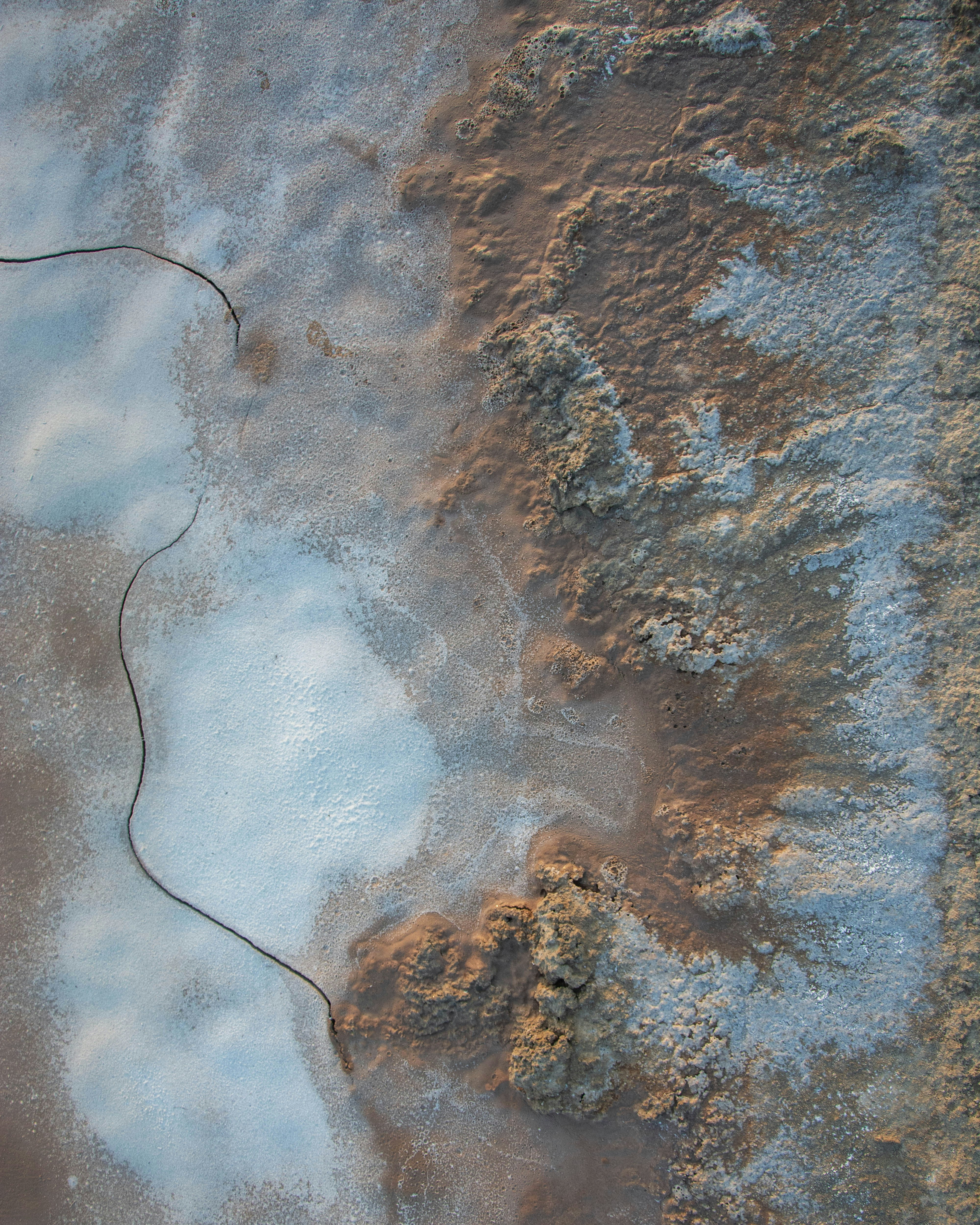 Textures Organiques Photos | Télécharger des images gratuites sur Unsplash