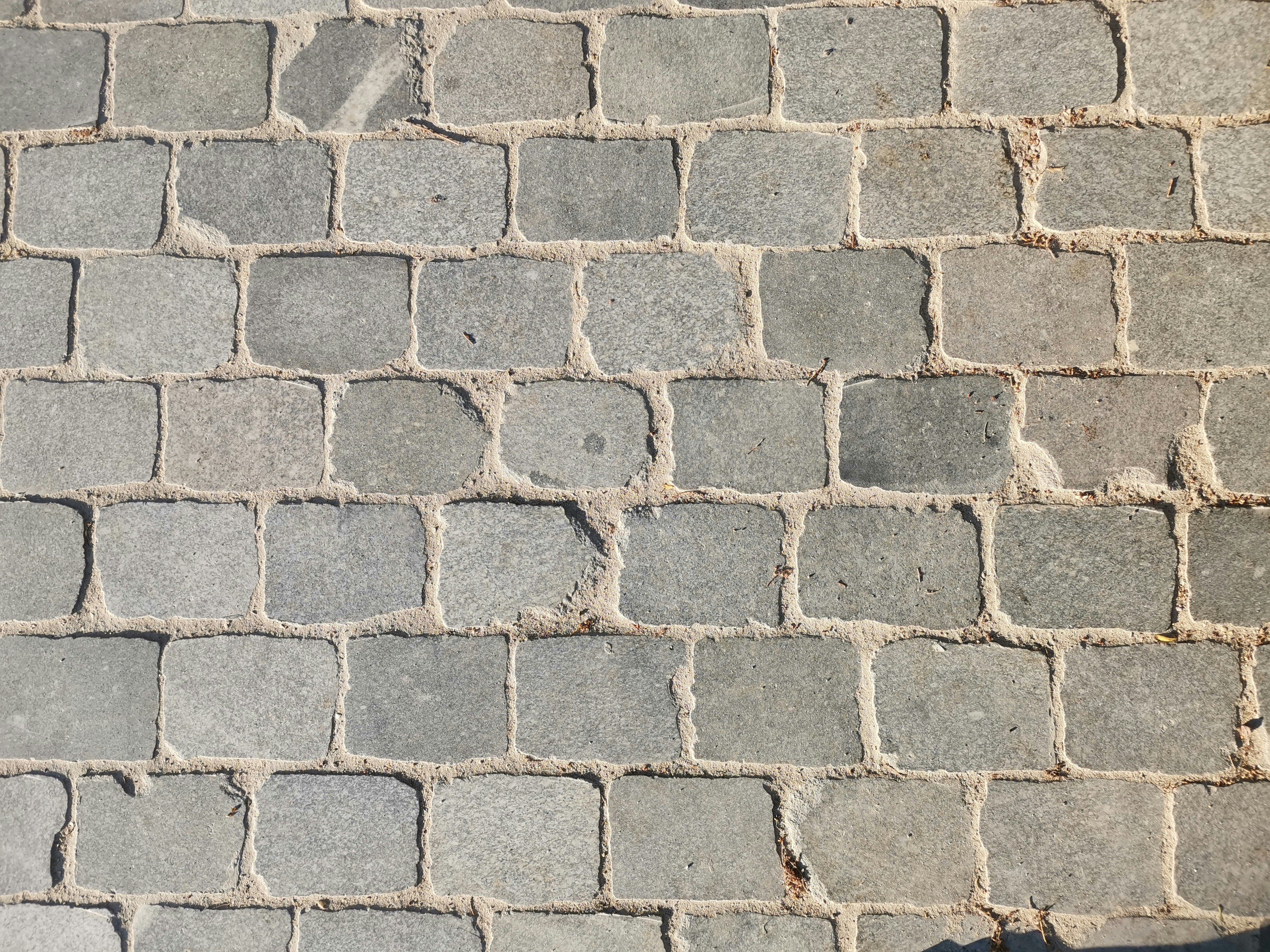 MLK Jr park in Paris