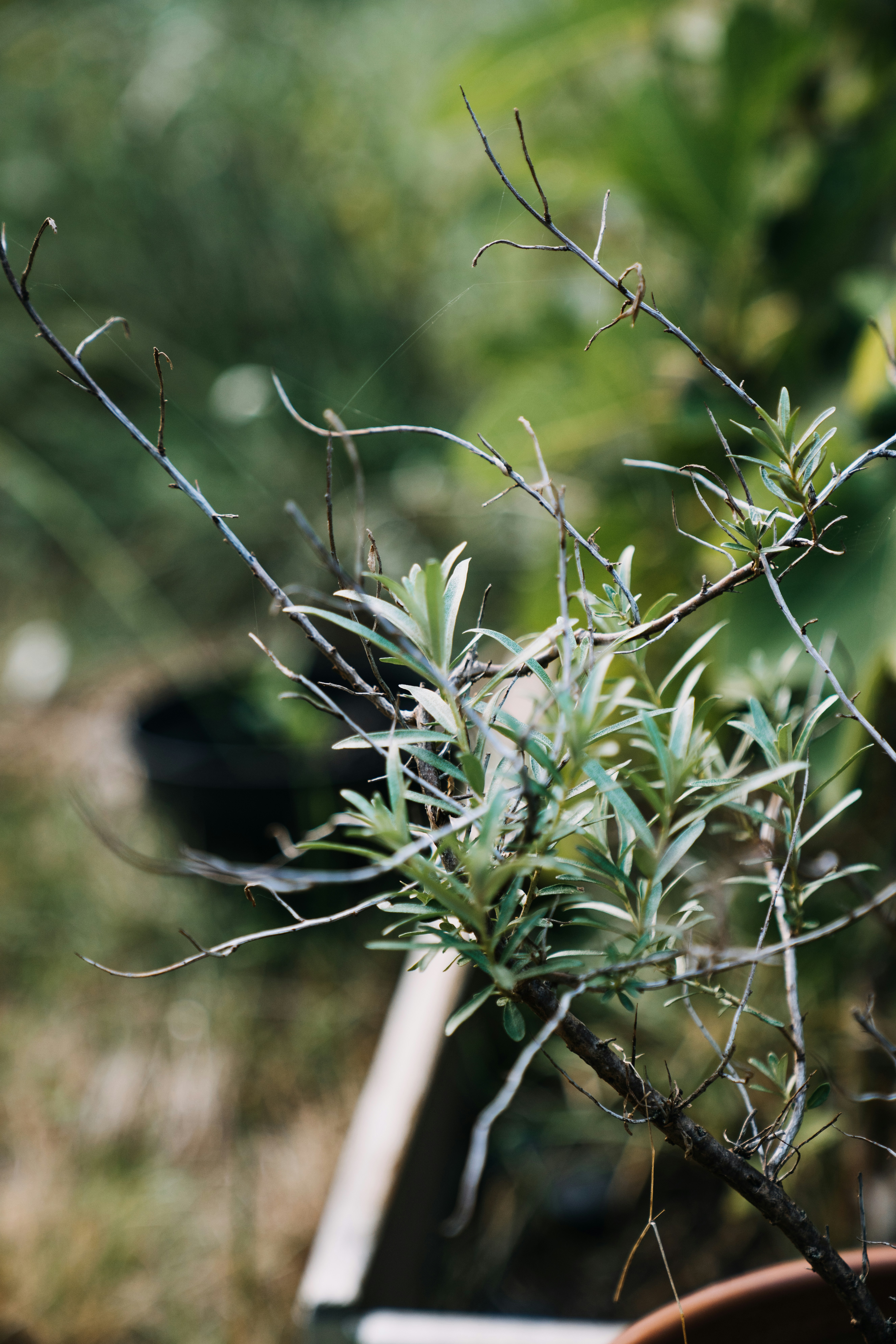 Photo by Pascale Amez with Sony Alpha 7R III