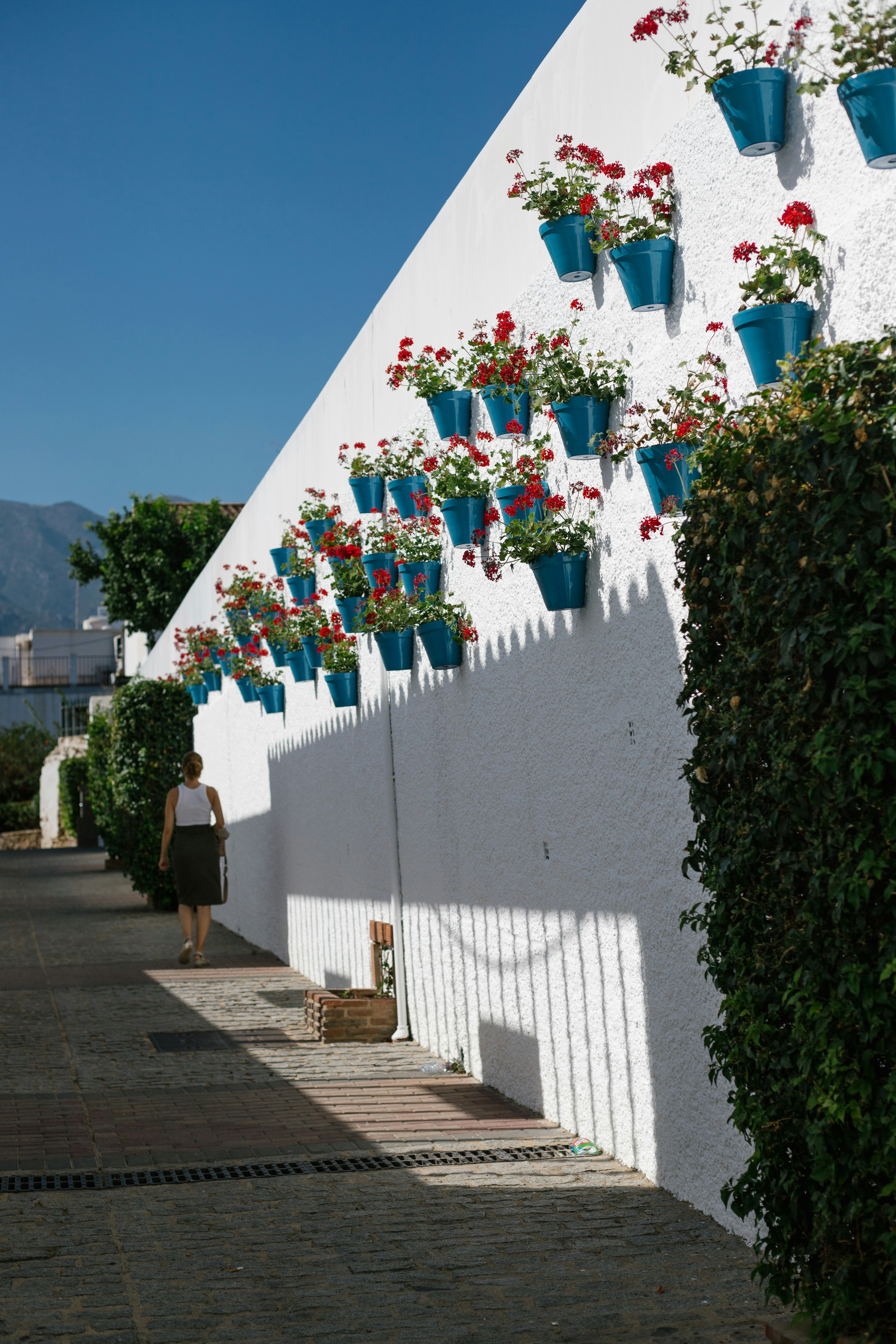 Azure Vessels Cascading Along a Sunlit White Wall
