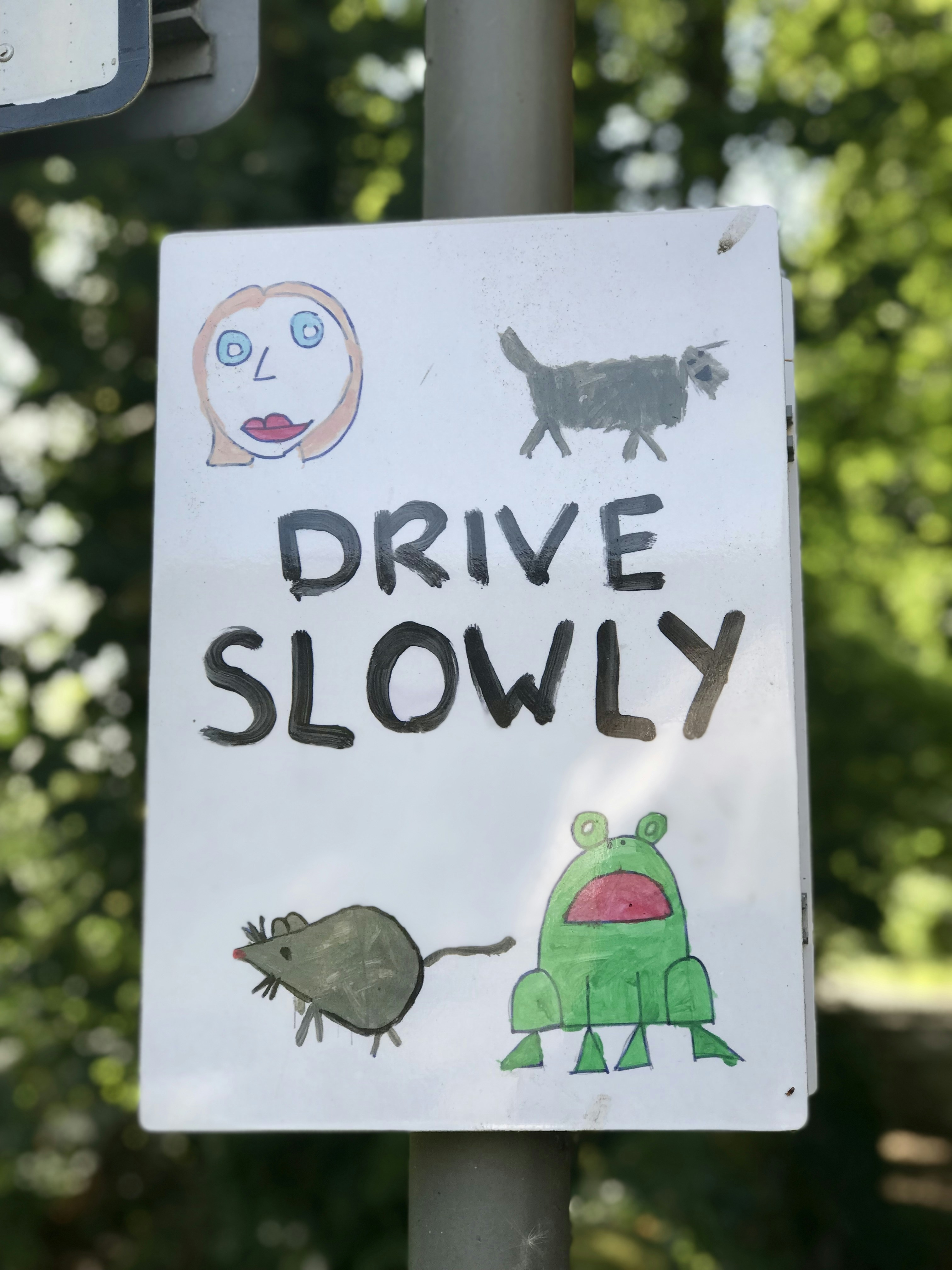 Colorful sign featuring playful illustrations of a face, a cat, a mouse, and a frog with the text 'DRIVE SLOWLY' prominently displayed.