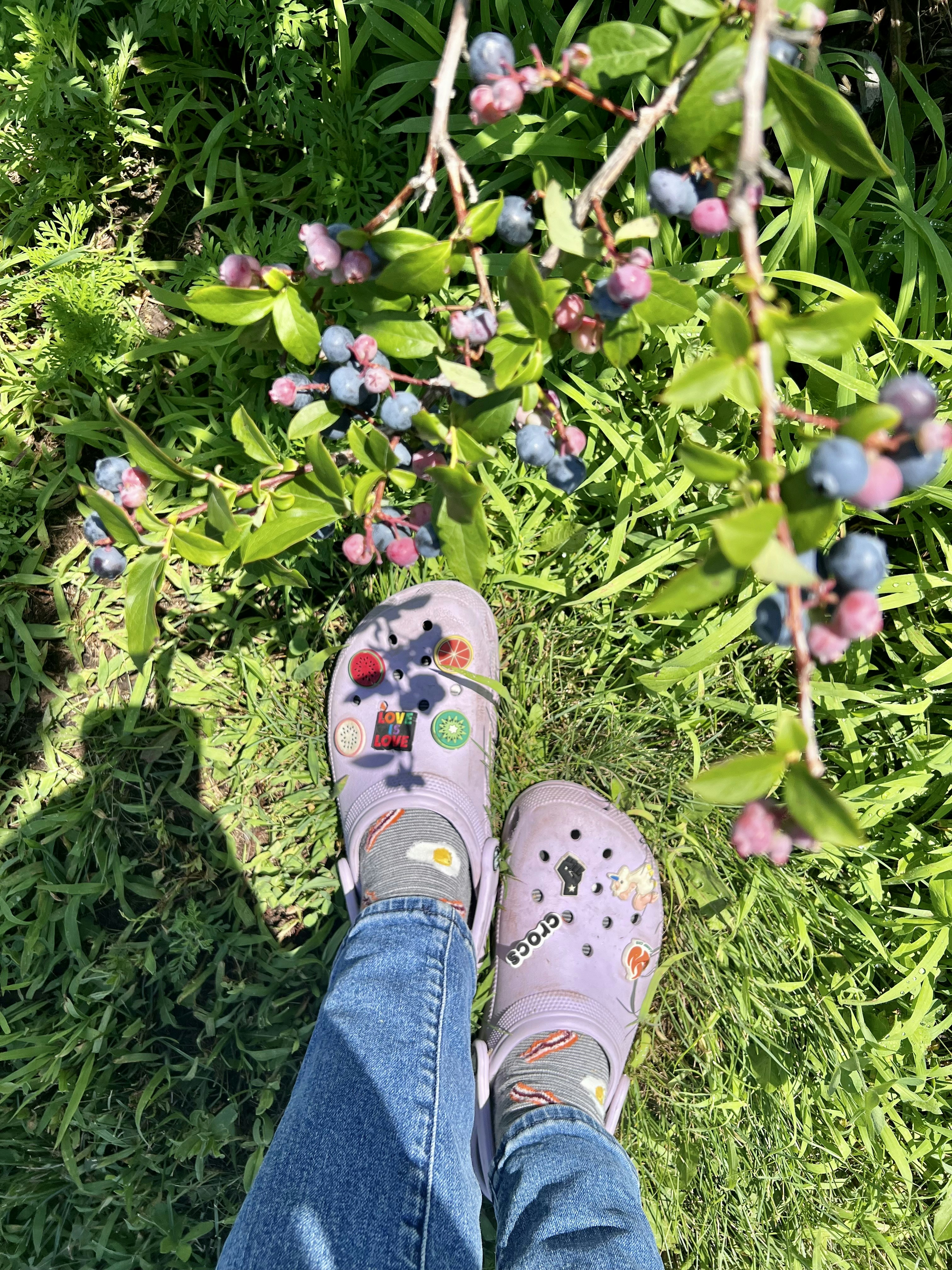 a person's feet in a garden