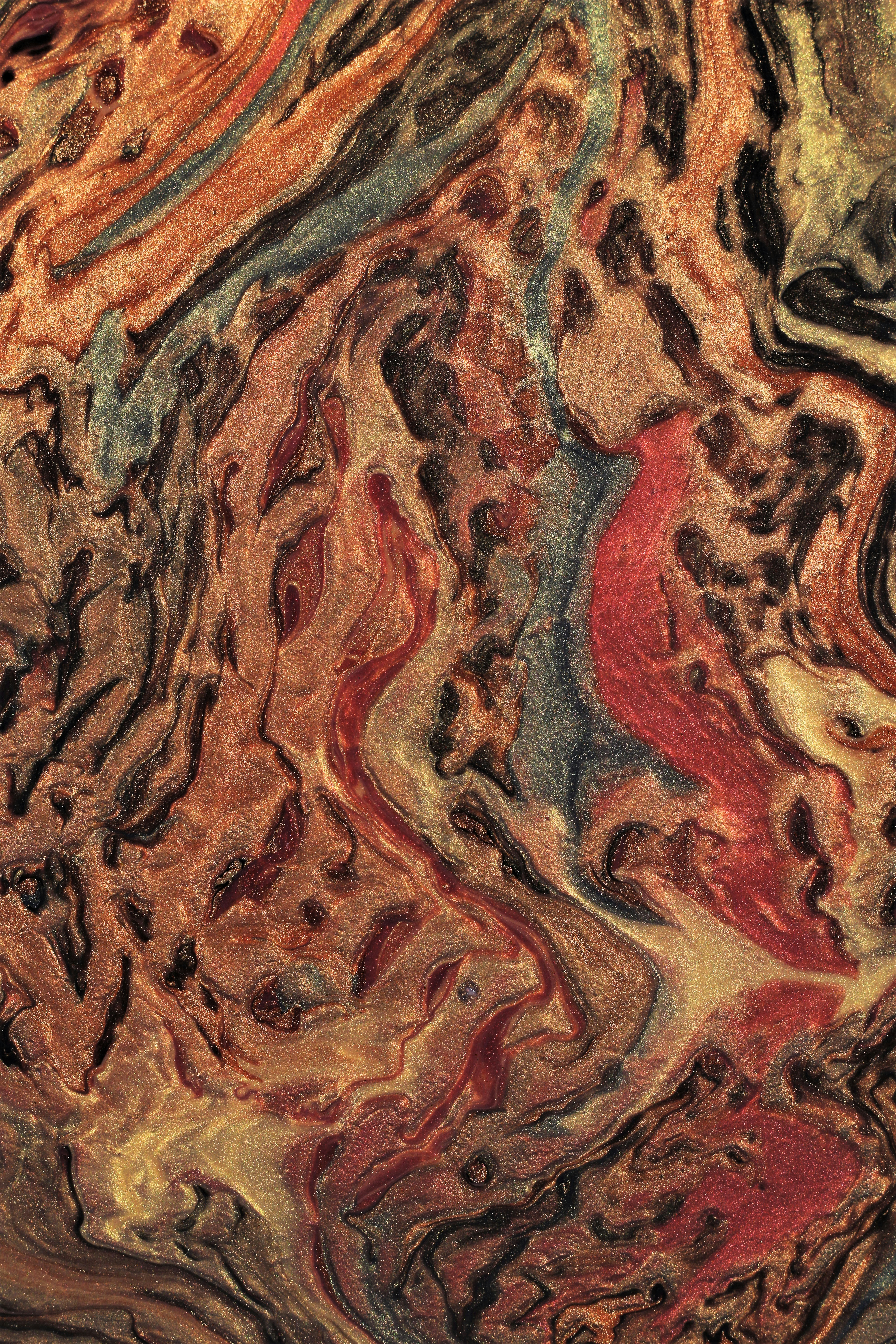 A close-up of a red and yellow skin photo – Free Pattern Image on Unsplash