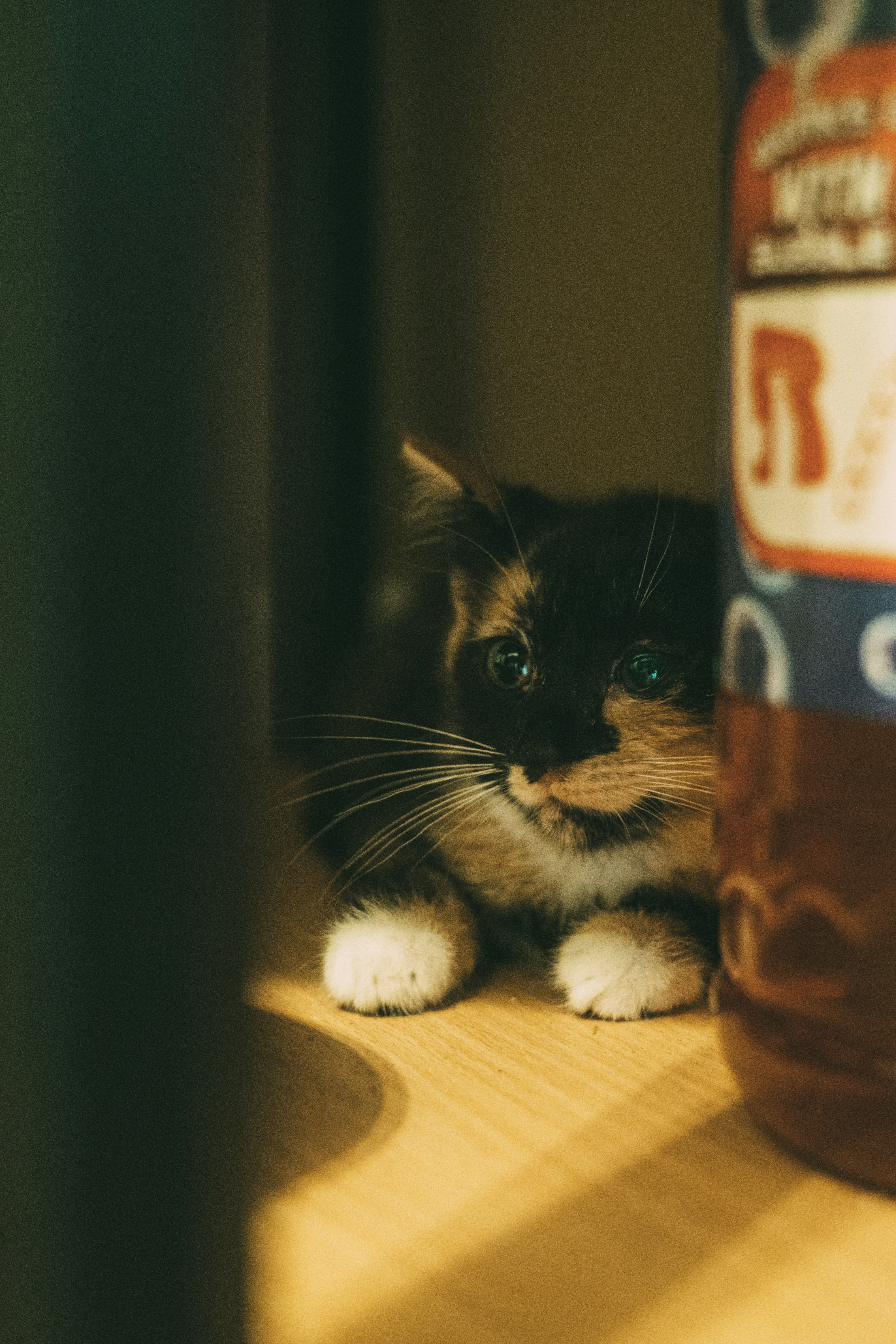 Mocha