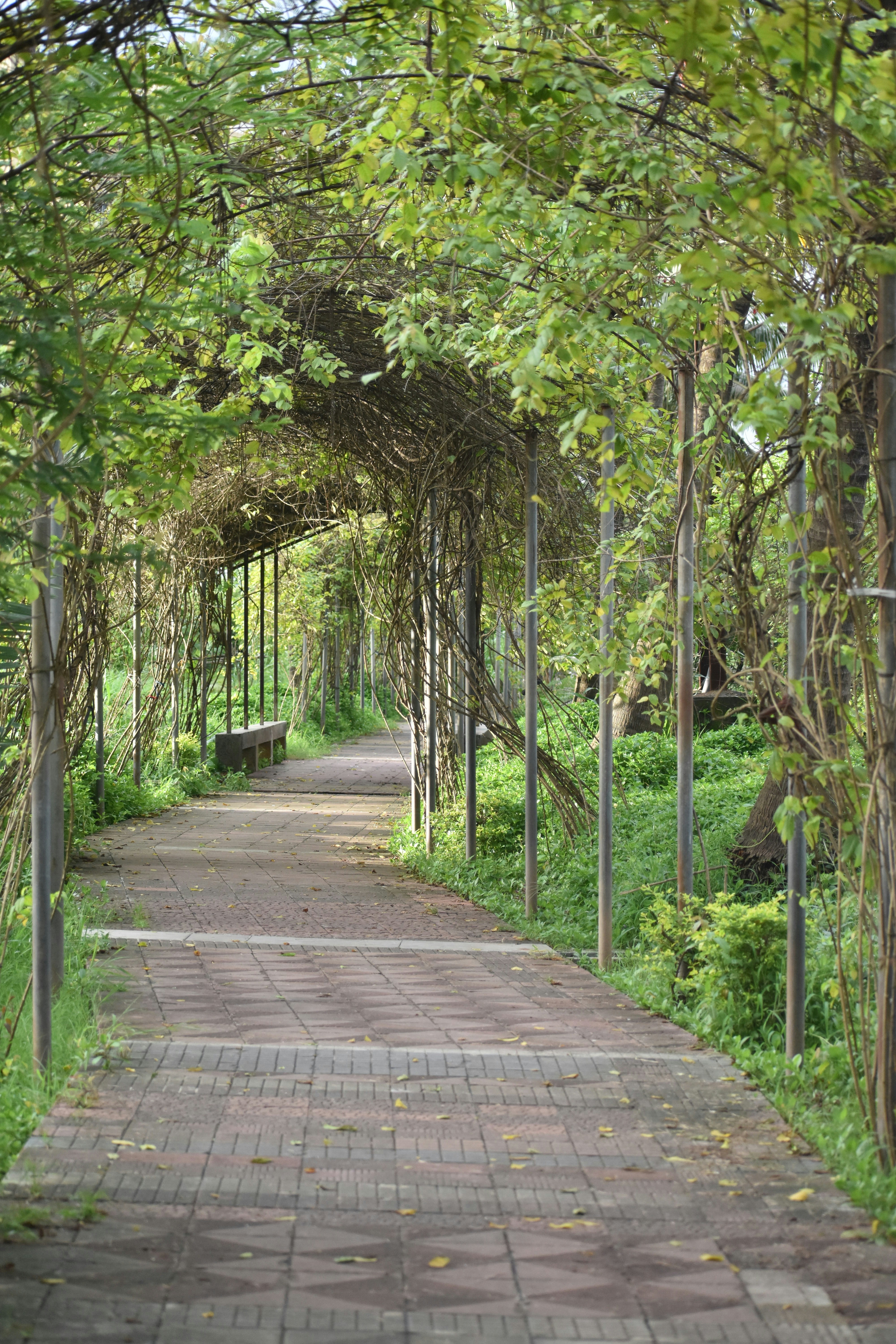 Photo by komal G with Nikon D3400