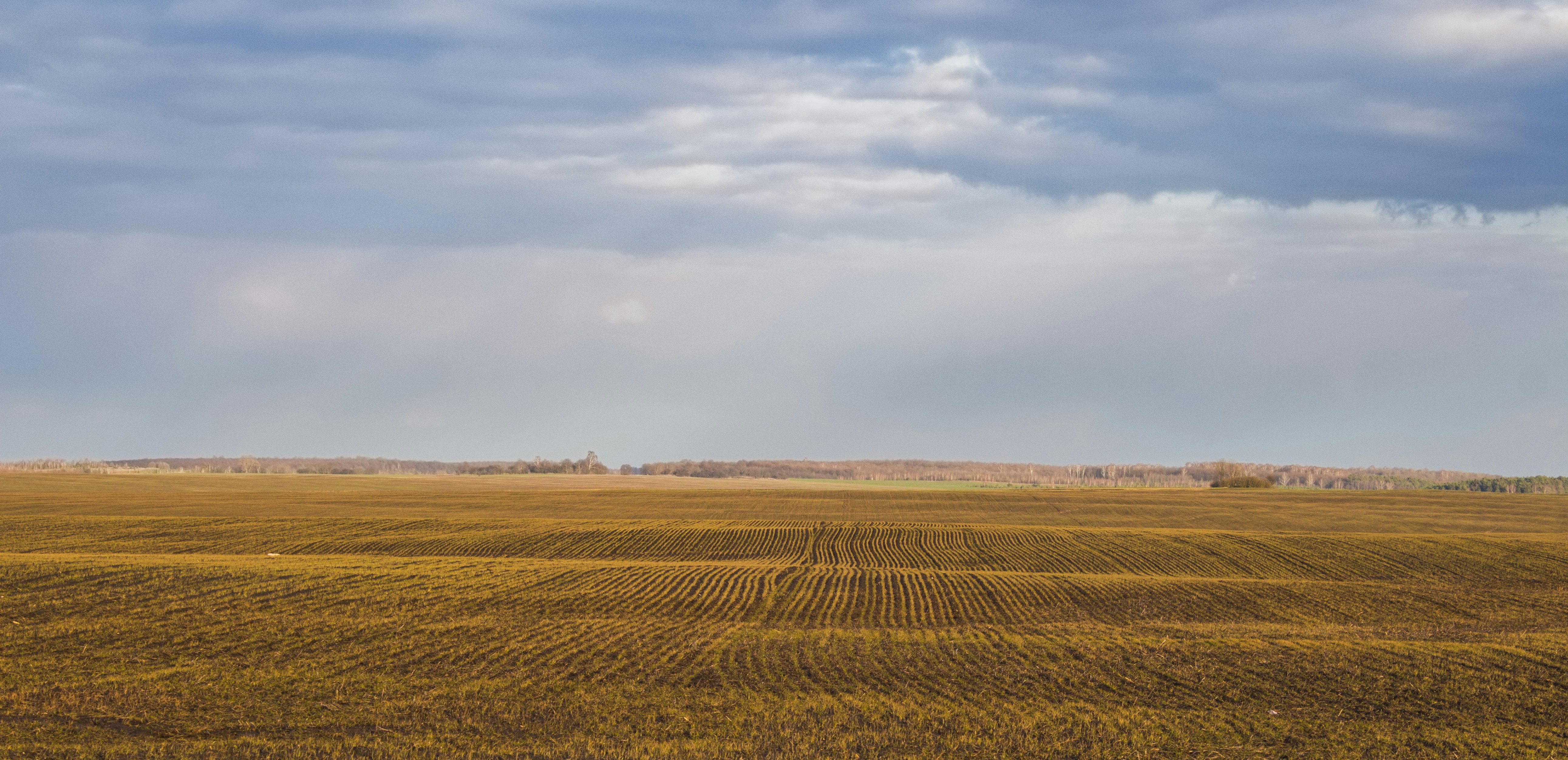 A large open field photo – Free Landscape Image on Unsplash