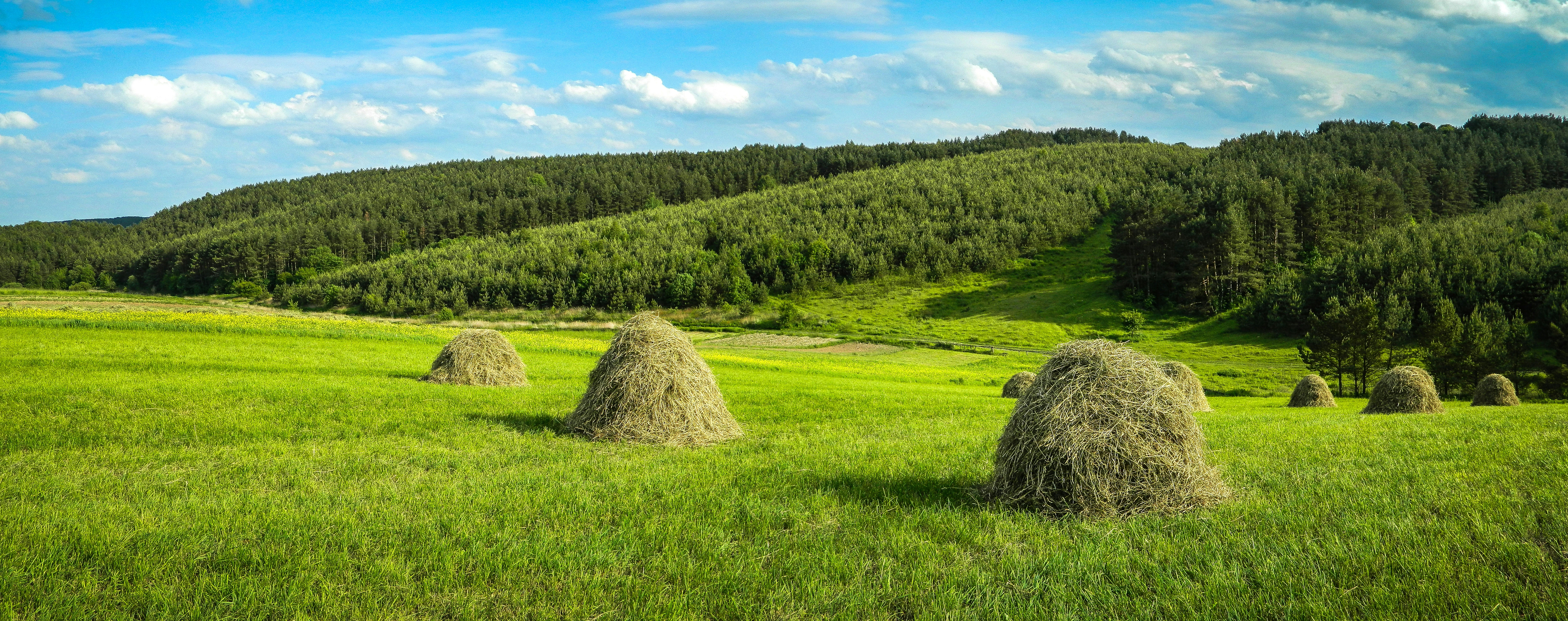 Haystacks dotting a vibrant green meadow under a bright blue sky, framed by lush hills in the background.
