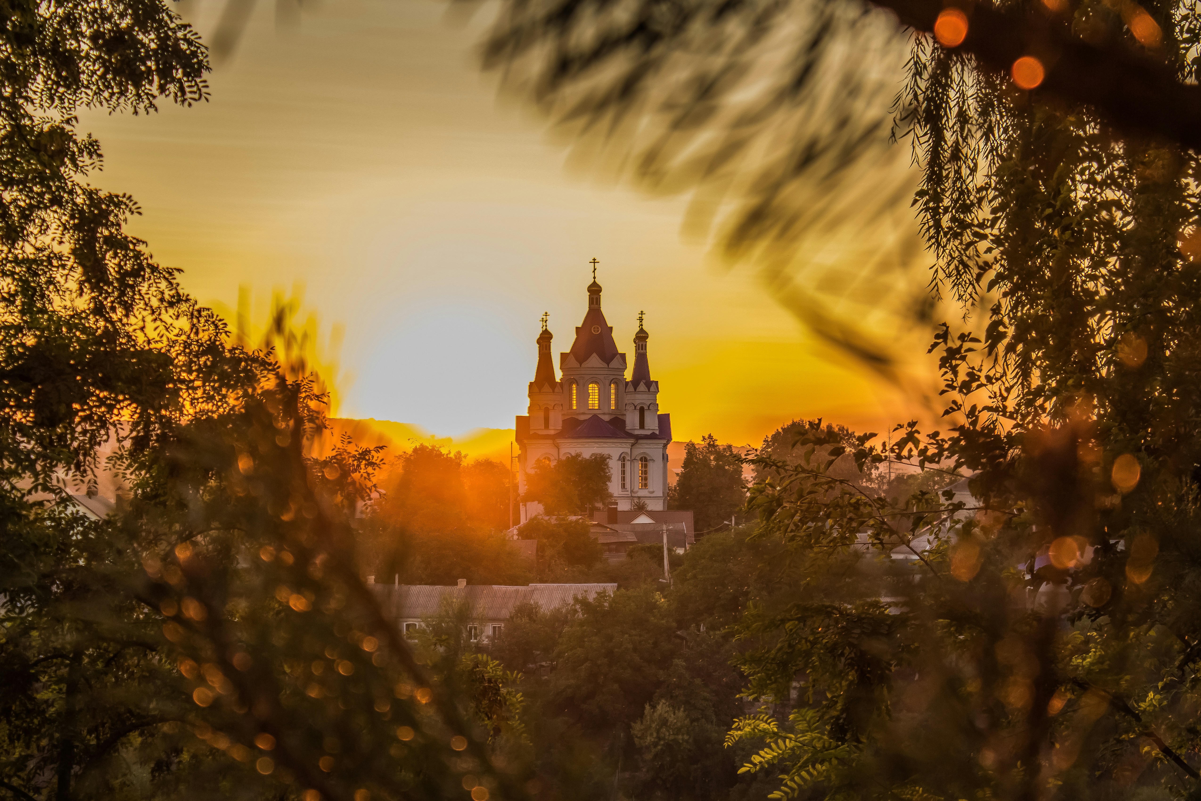 Golden Hour Cathedral: Framed by Quiet Foliage