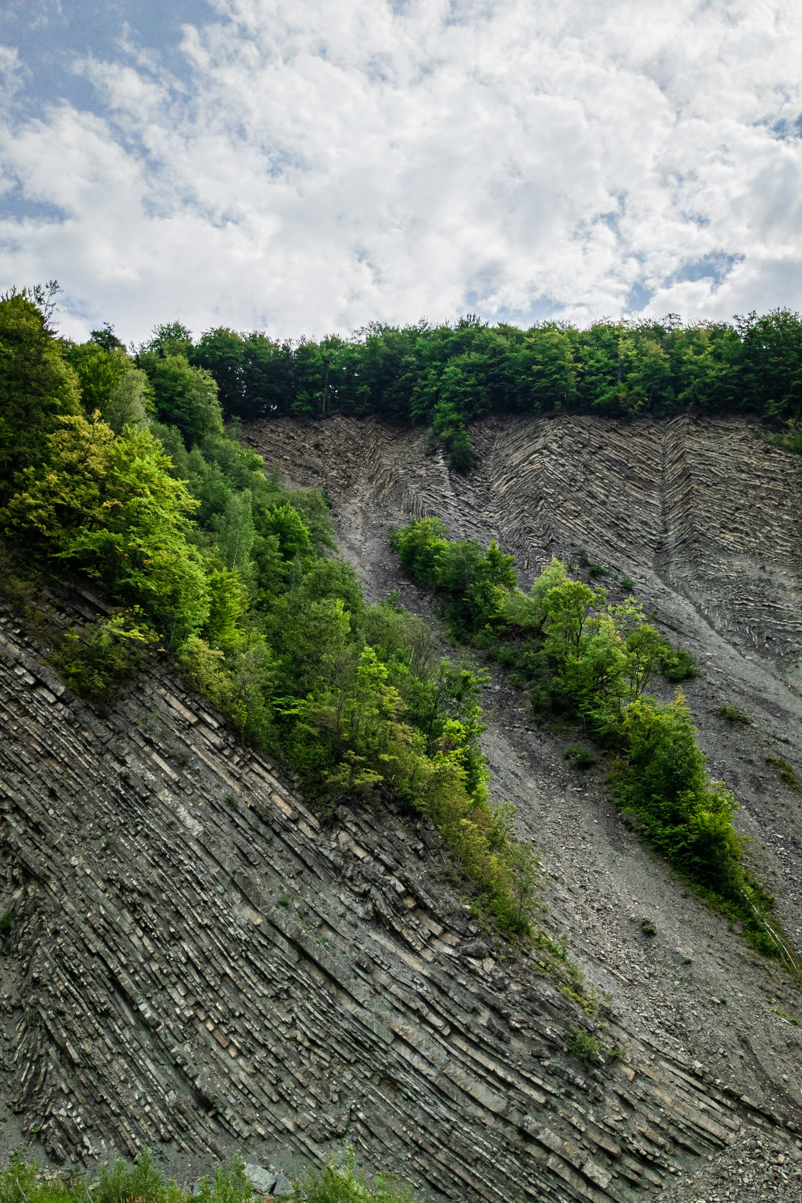Striated Ridge: Green pockets tracing a cliff's geological rhythm