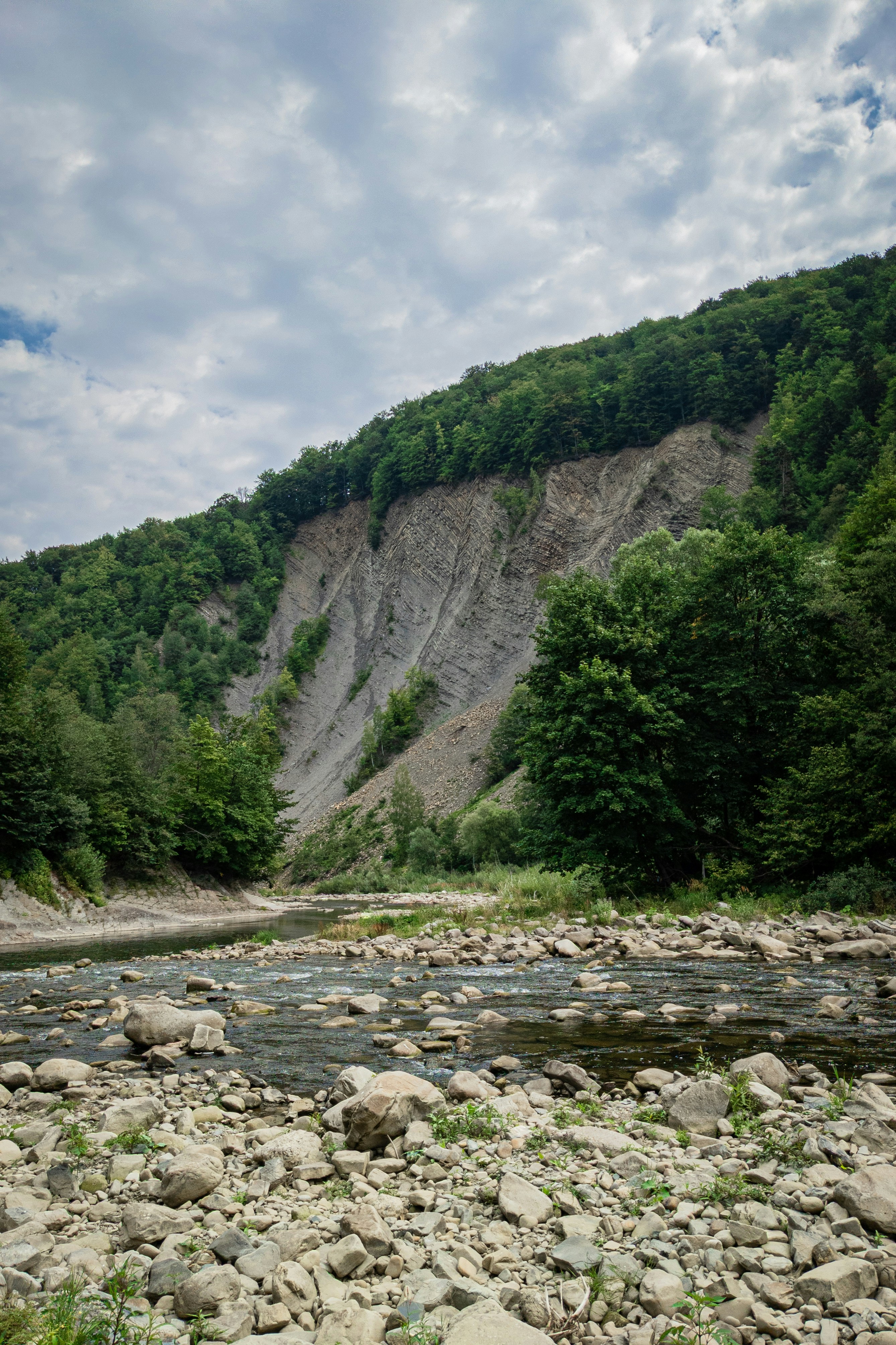 Rugged Gorge Overlook: A Riverine Corridor Between Forested Cliffs
