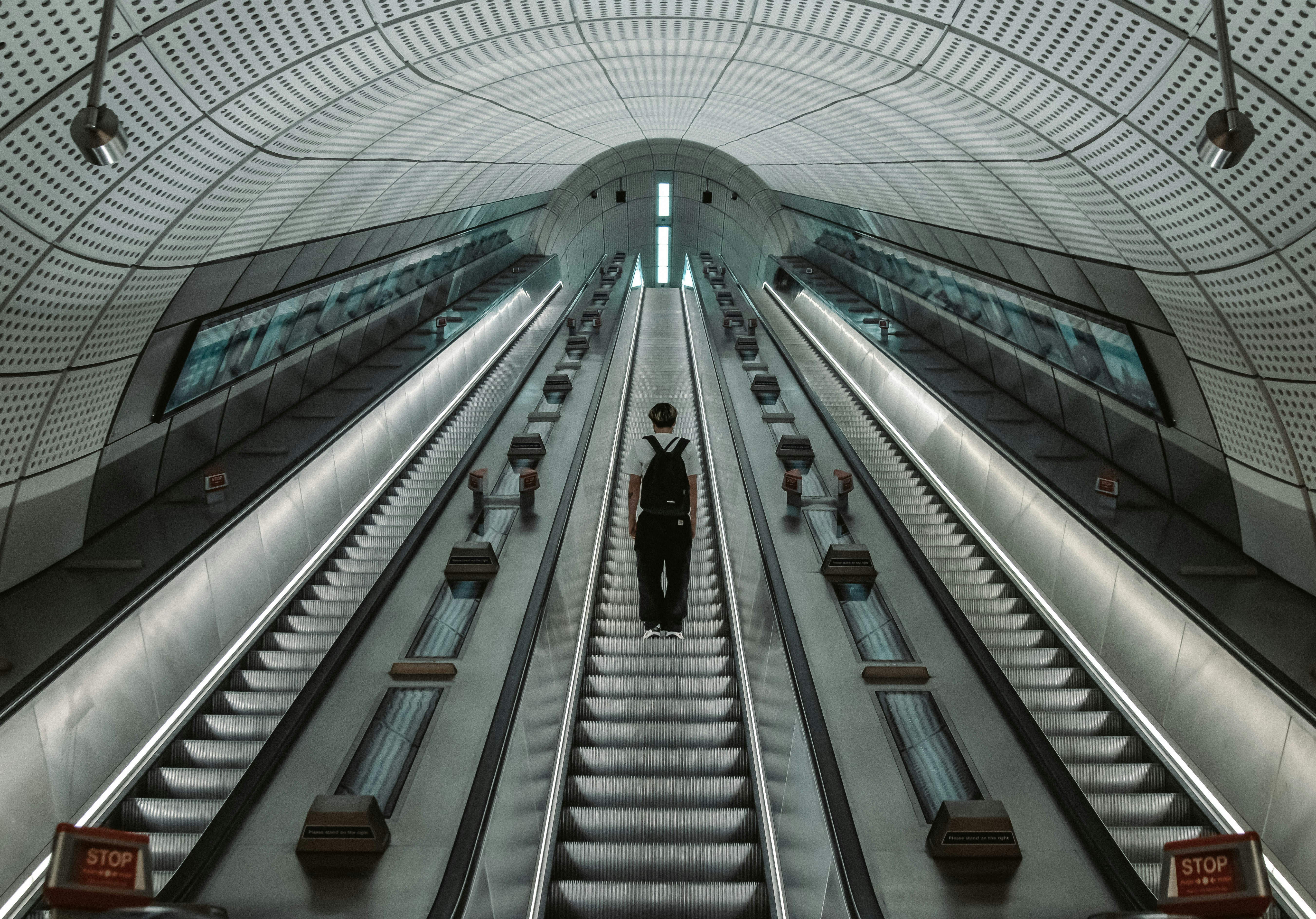 Photo by Robert Stump with Nikon D5300