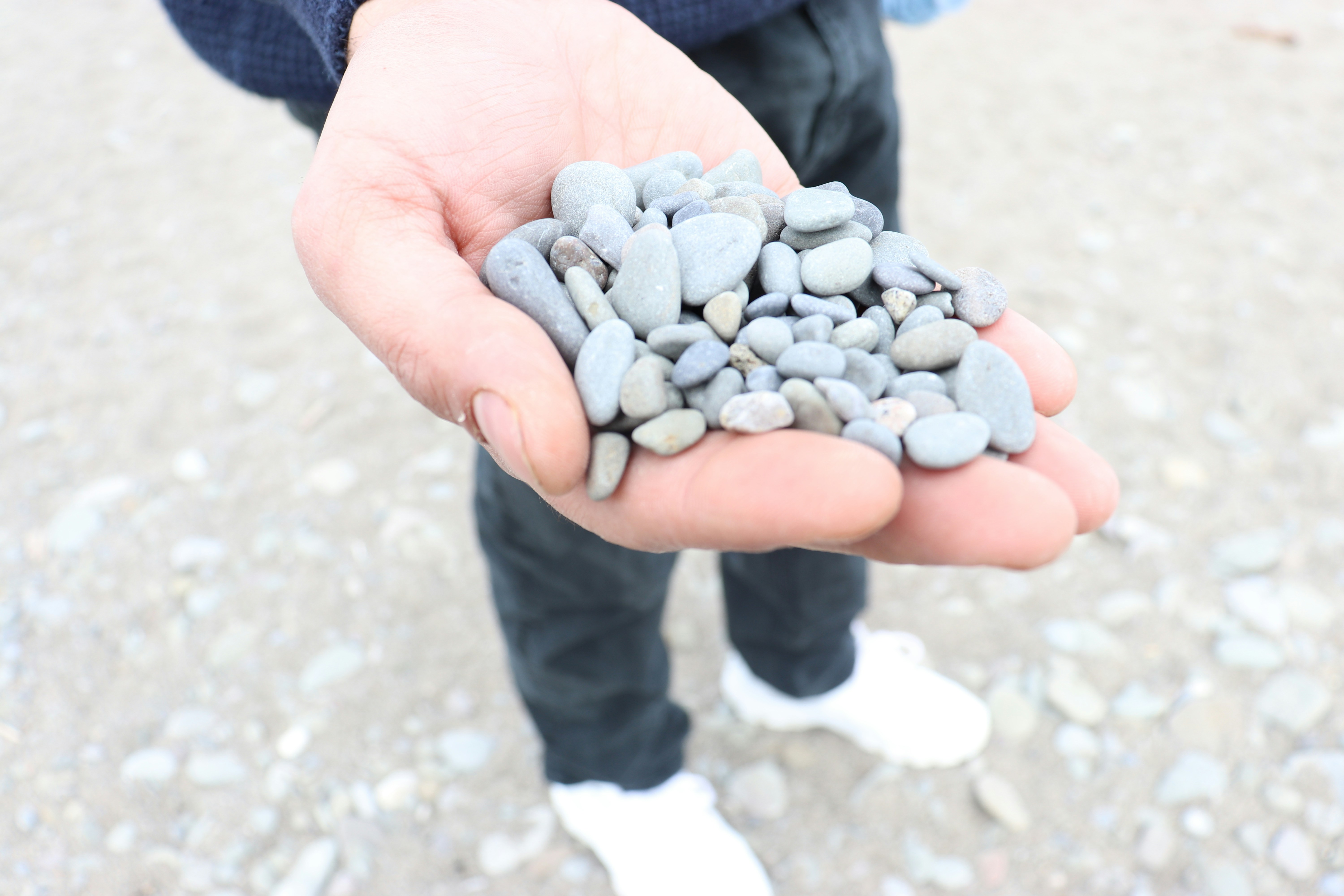 Palmful of Pebbles: Texture and Light on a Gravel Path