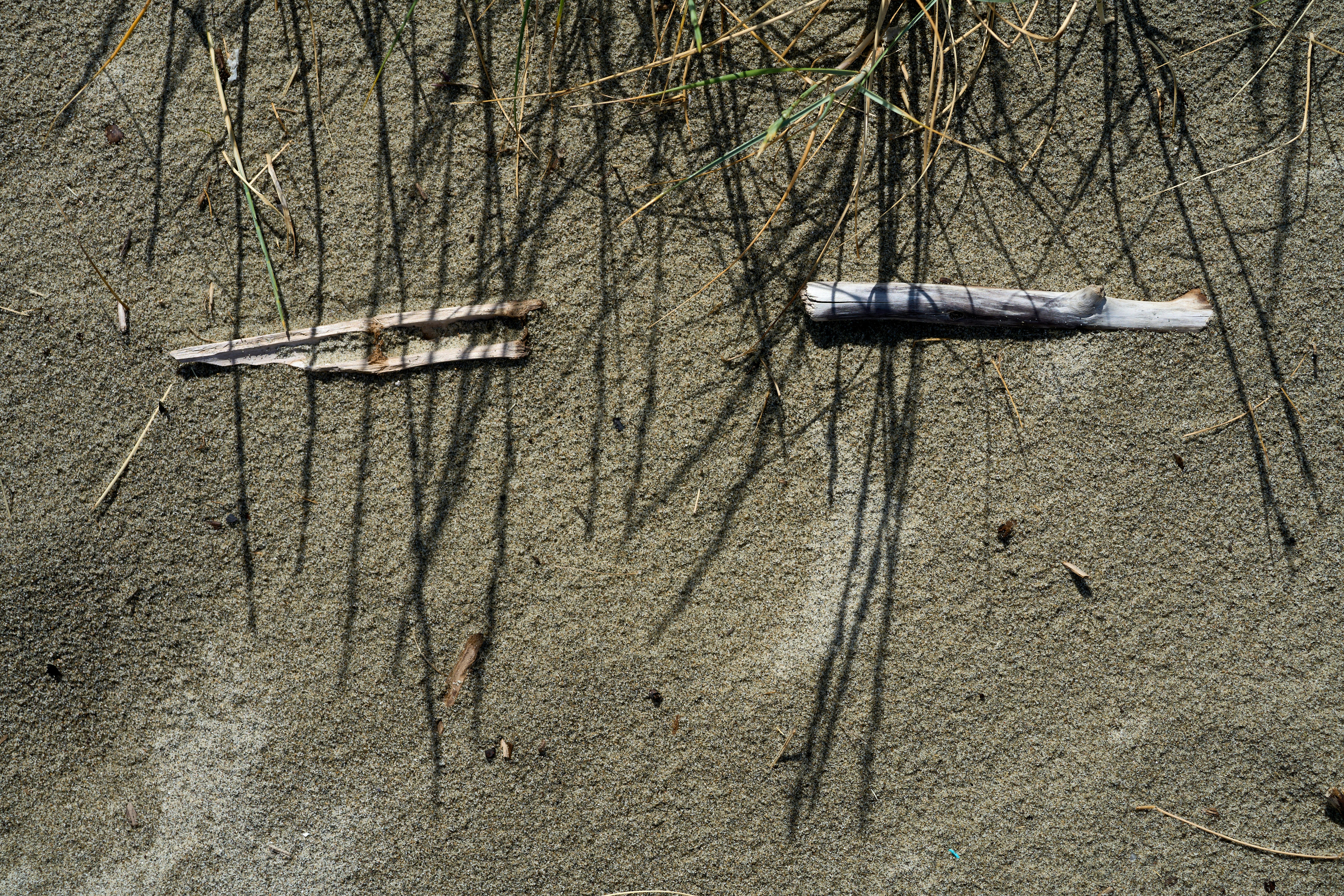 A group of sticks in the dirt photo – Free Grey Image on Unsplash