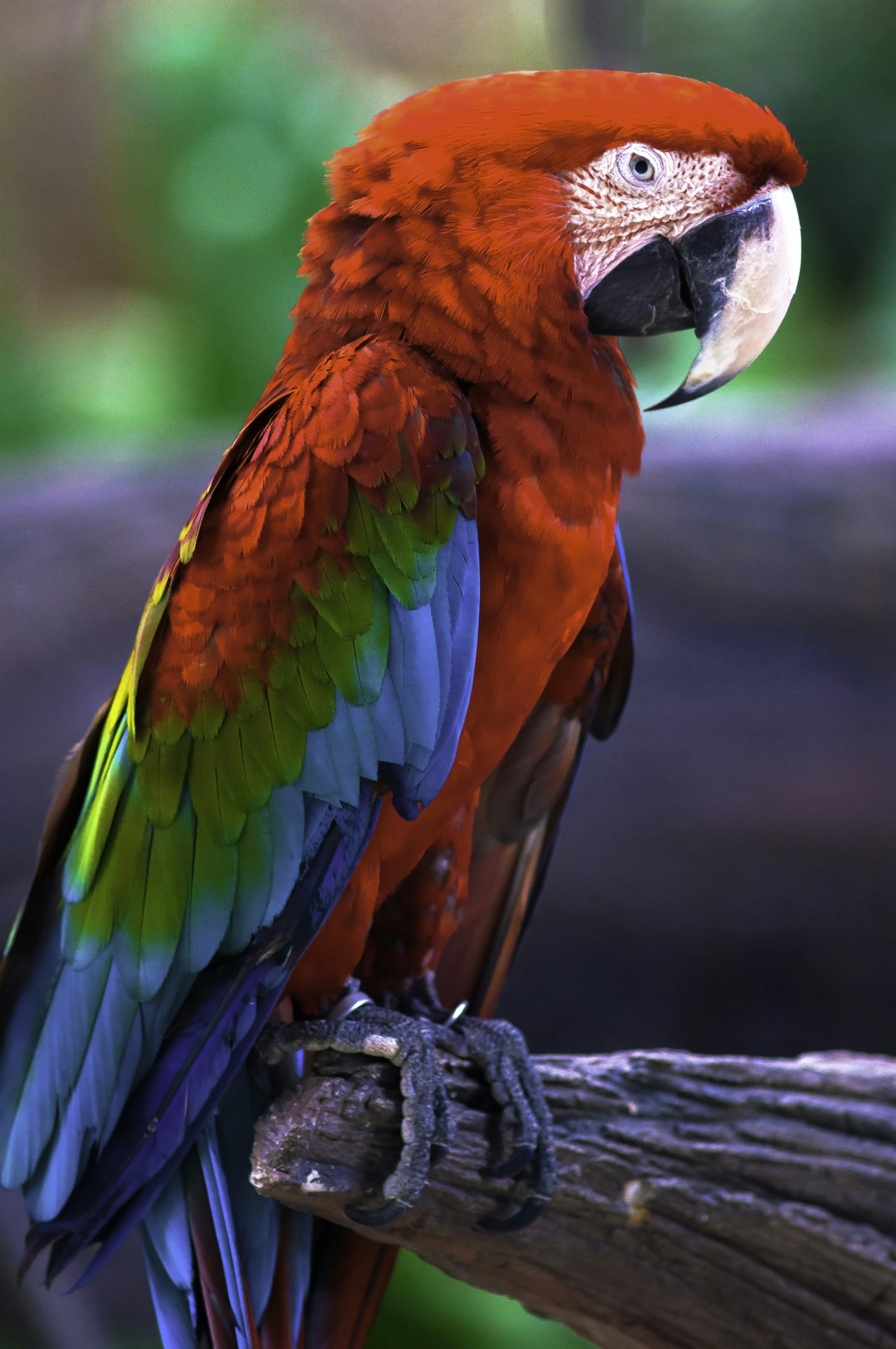 Photo by Thomas Oxford with Nikon D90