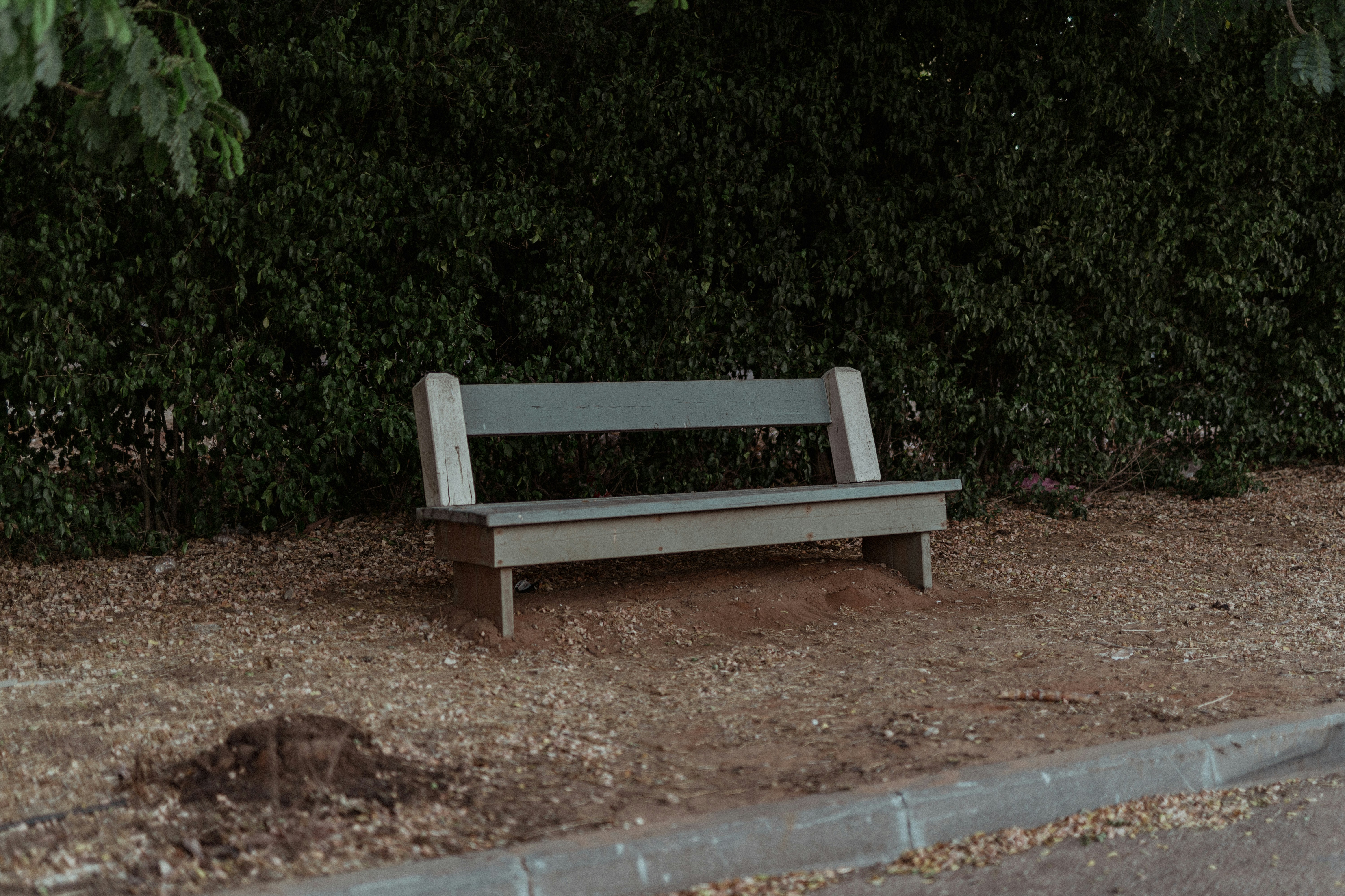 a bench sits unoccupied