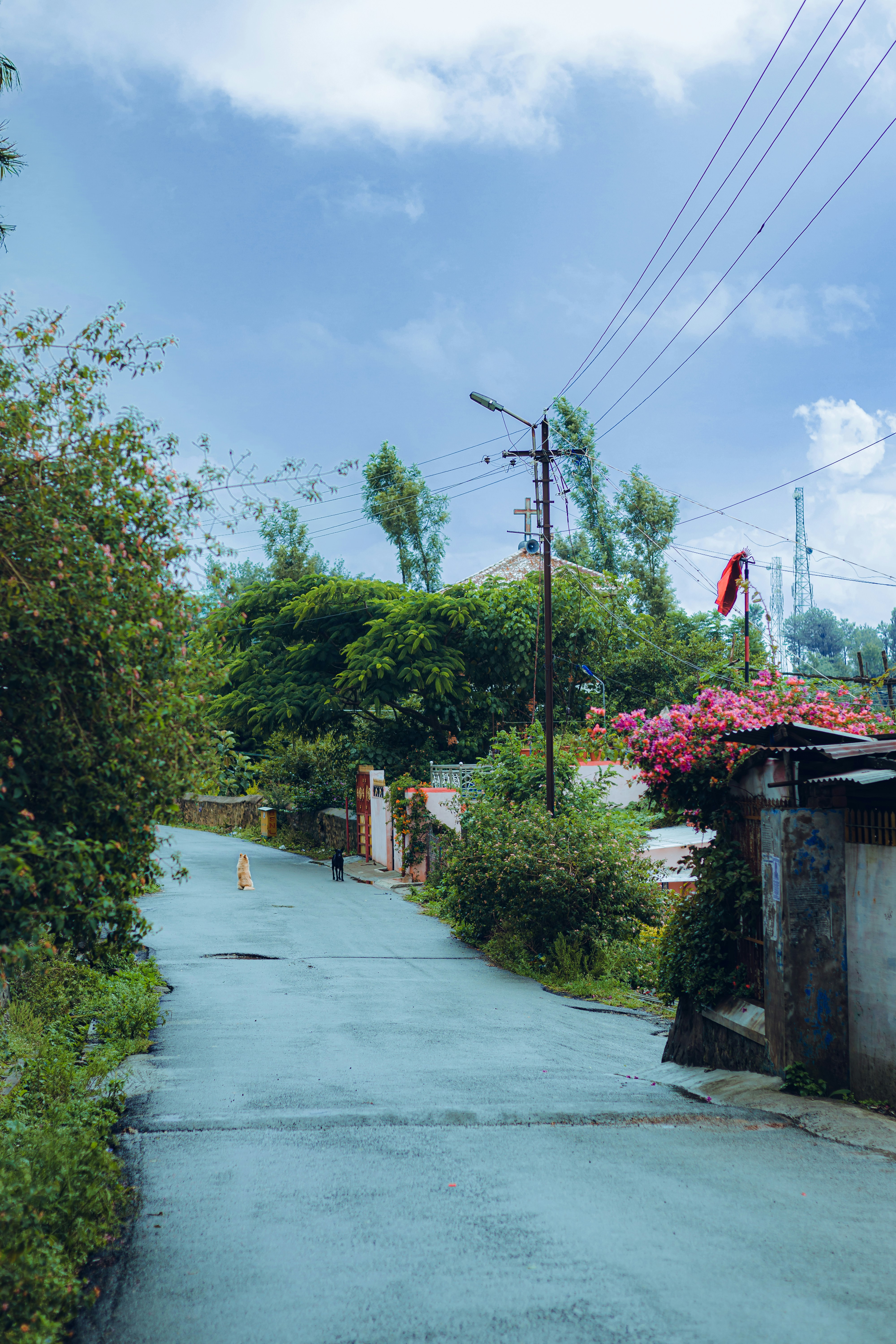 Photo by Dhilip Antony with Canon EOS 200D Mark II