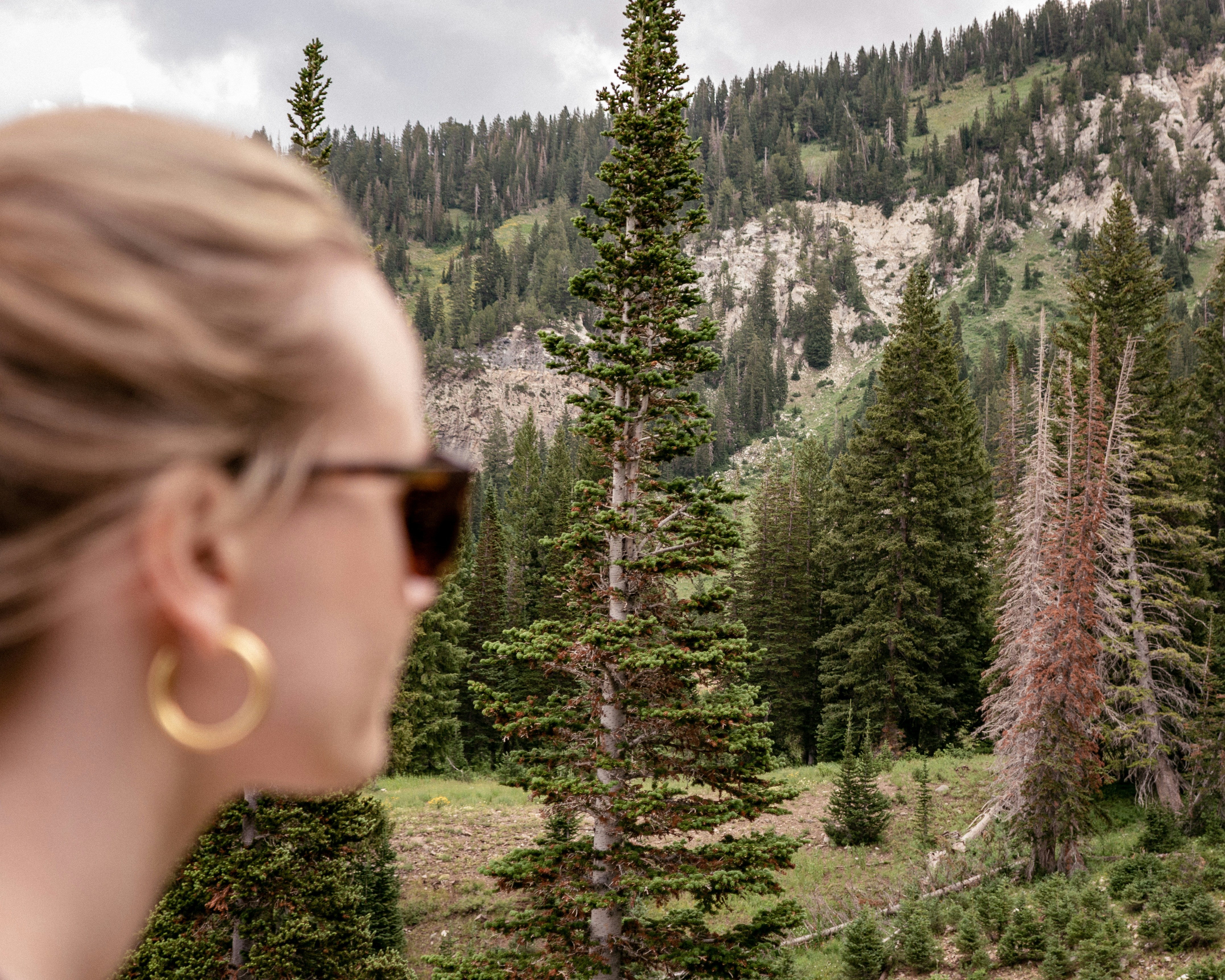 Promenade Snowbird Center Photos | Télécharger des images gratuites sur ...