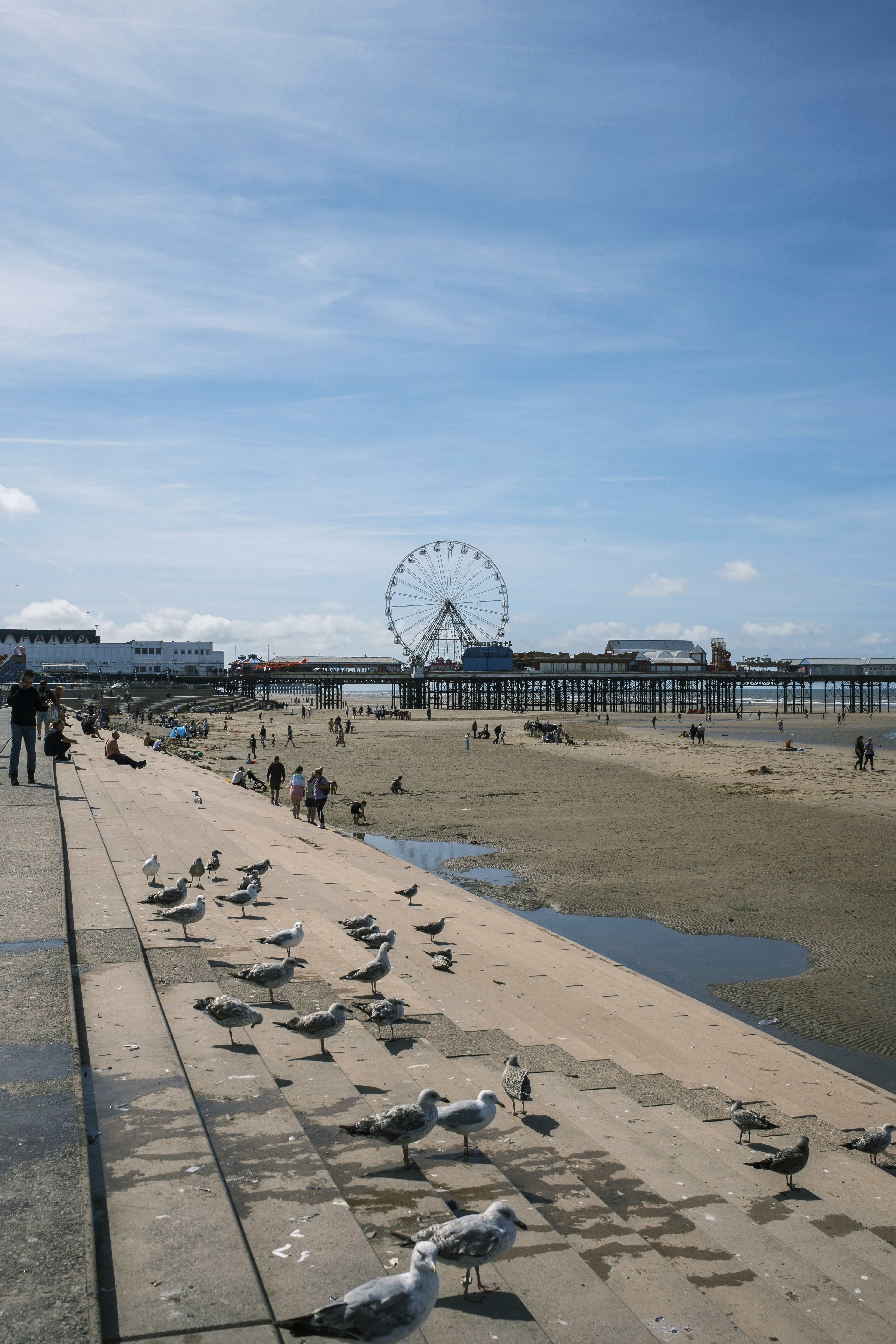 Ferris Wheel on the Horizon: A Sunlit Beach Promenade
