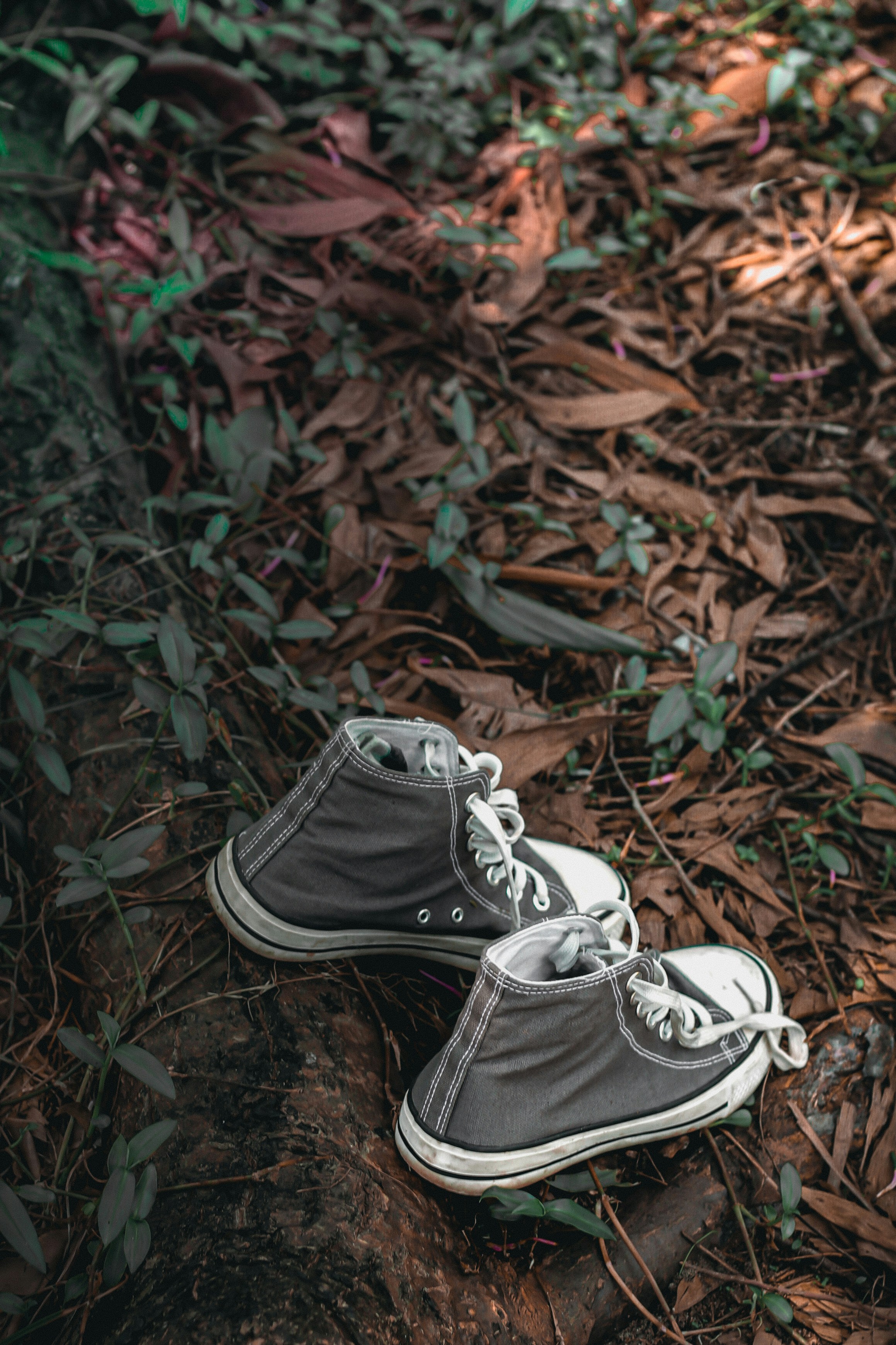 A pair of shoes on the ground photo – Free Clothing Image on Unsplash