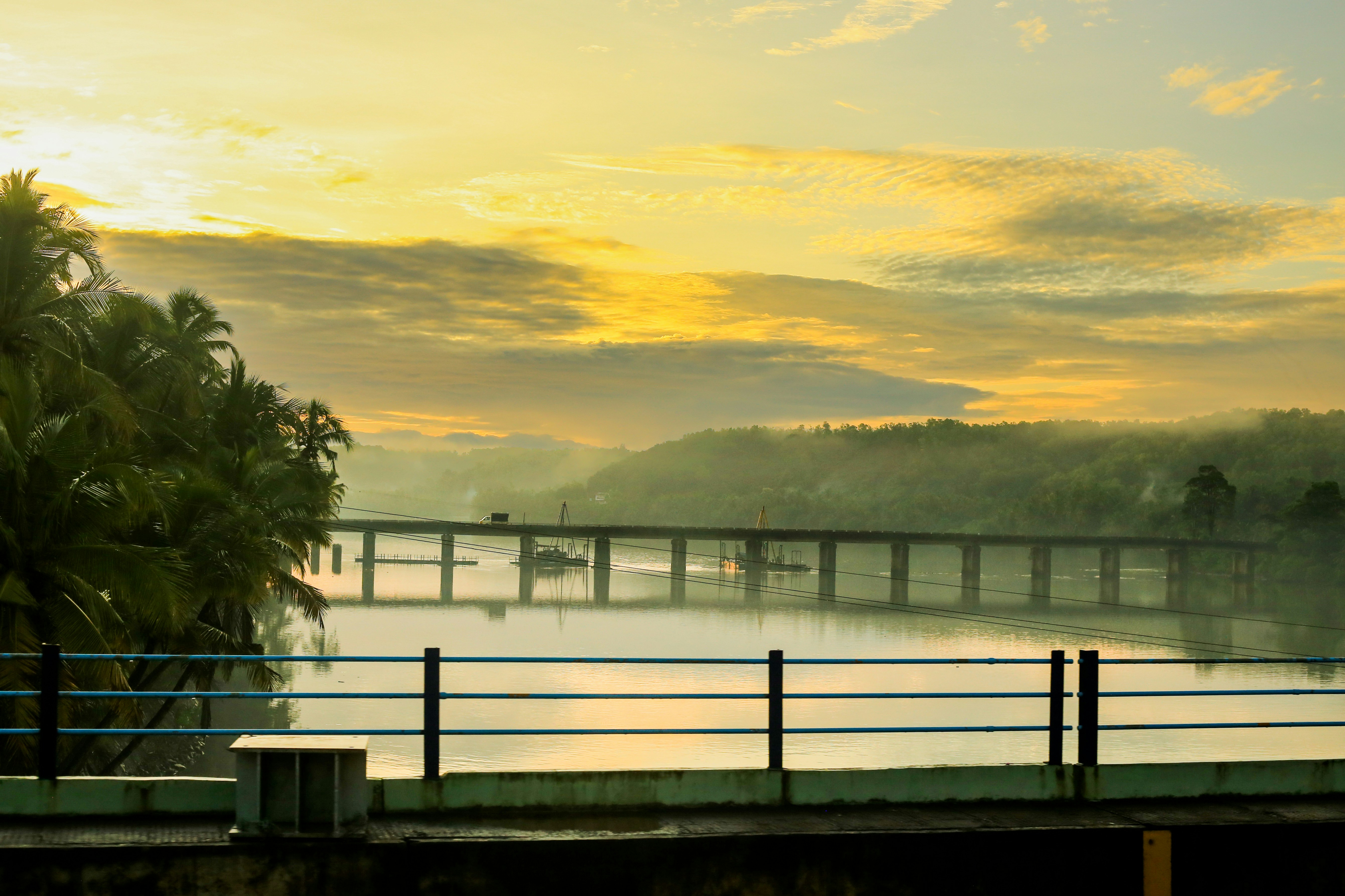 A body of water with trees and a fence around it photo – Free Image on ...