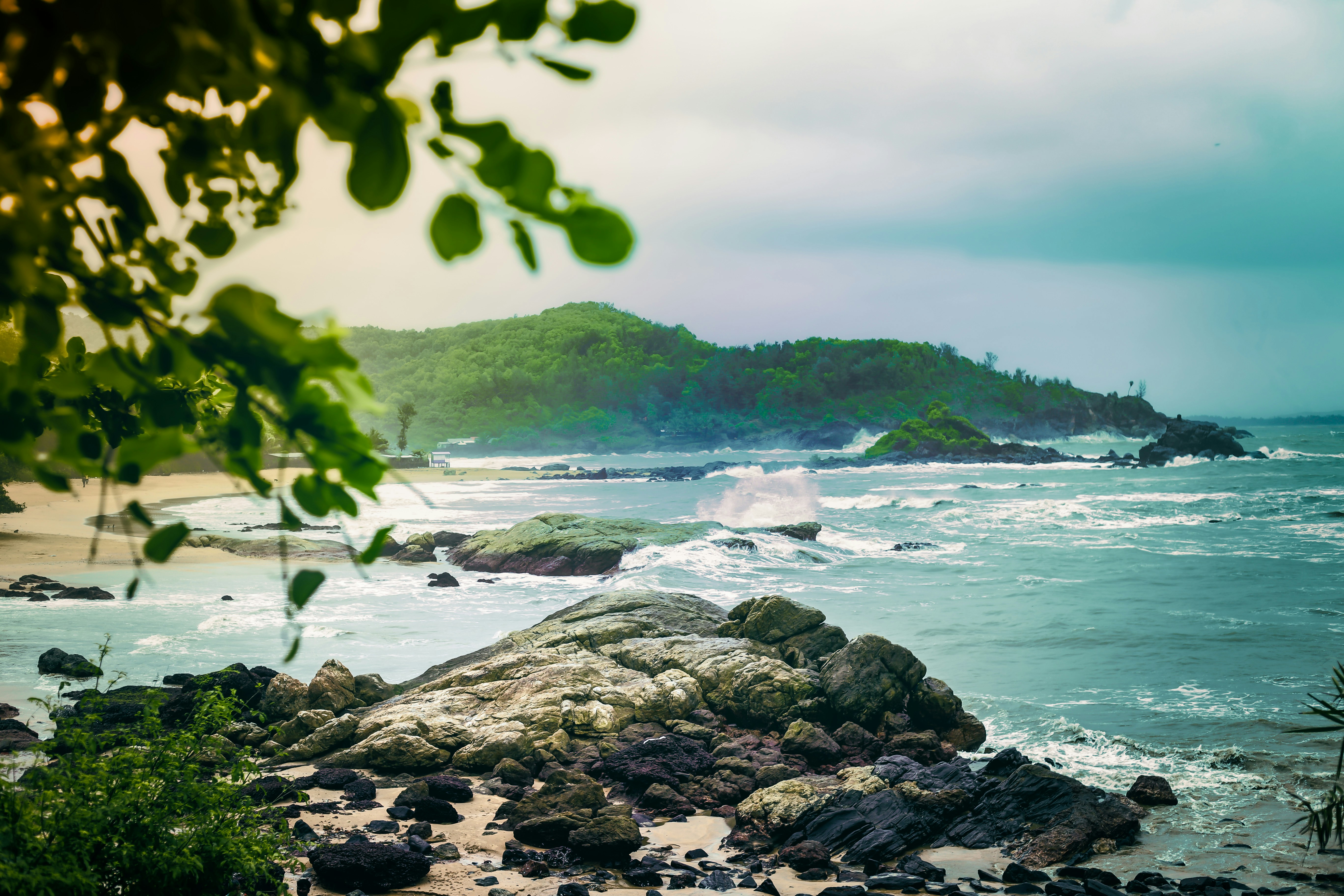 Una playa rocosa con un cuerpo de agua y árboles foto – Imagen de Costa ...