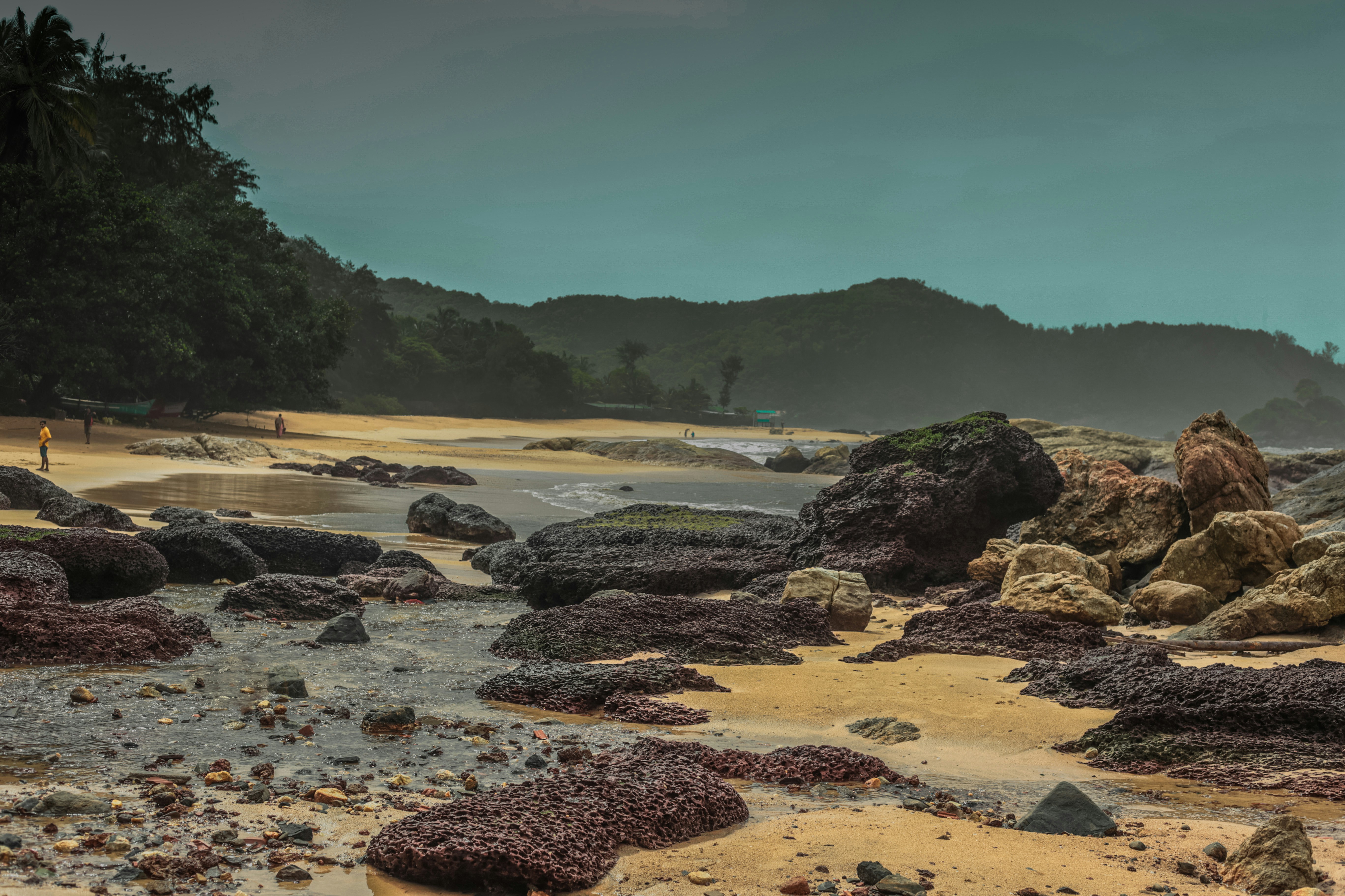 Foto Una playa rocosa con un cuerpo de agua y árboles – Imagen gratis ...