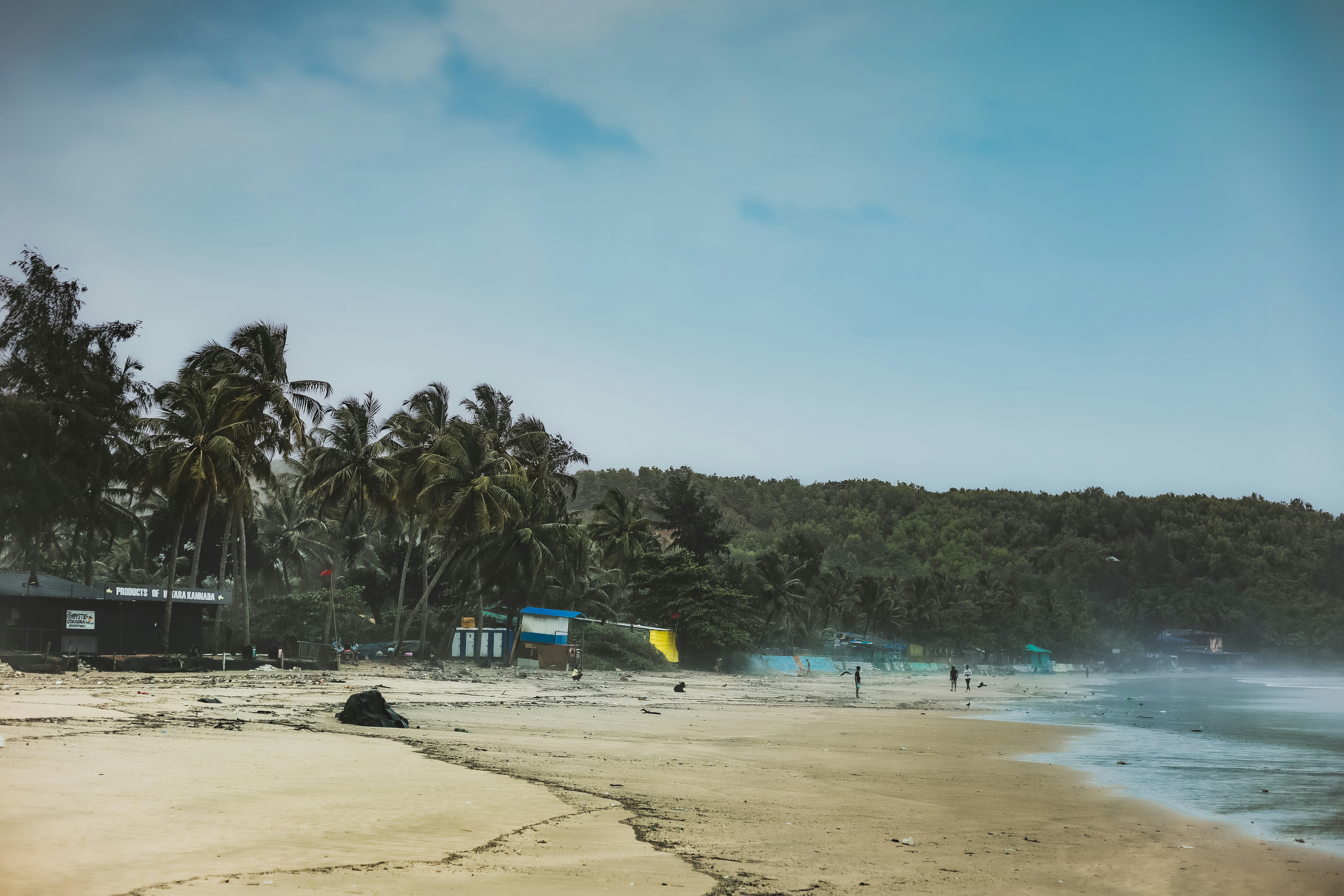 Une plage arborée et un plan d’eau photo – Photo gratuite sur Unsplash