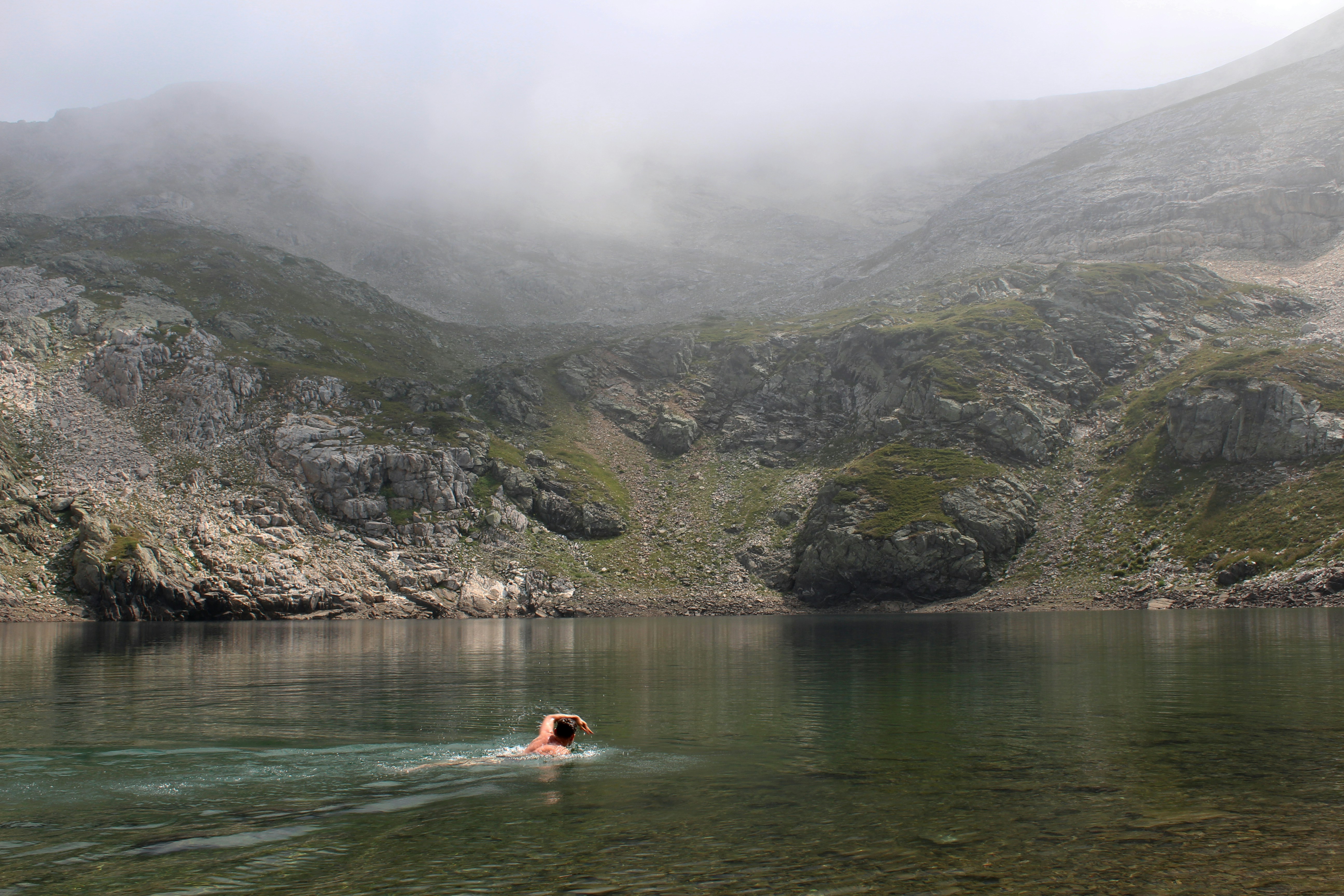 Solitary Swim in Misty Mountain Lake