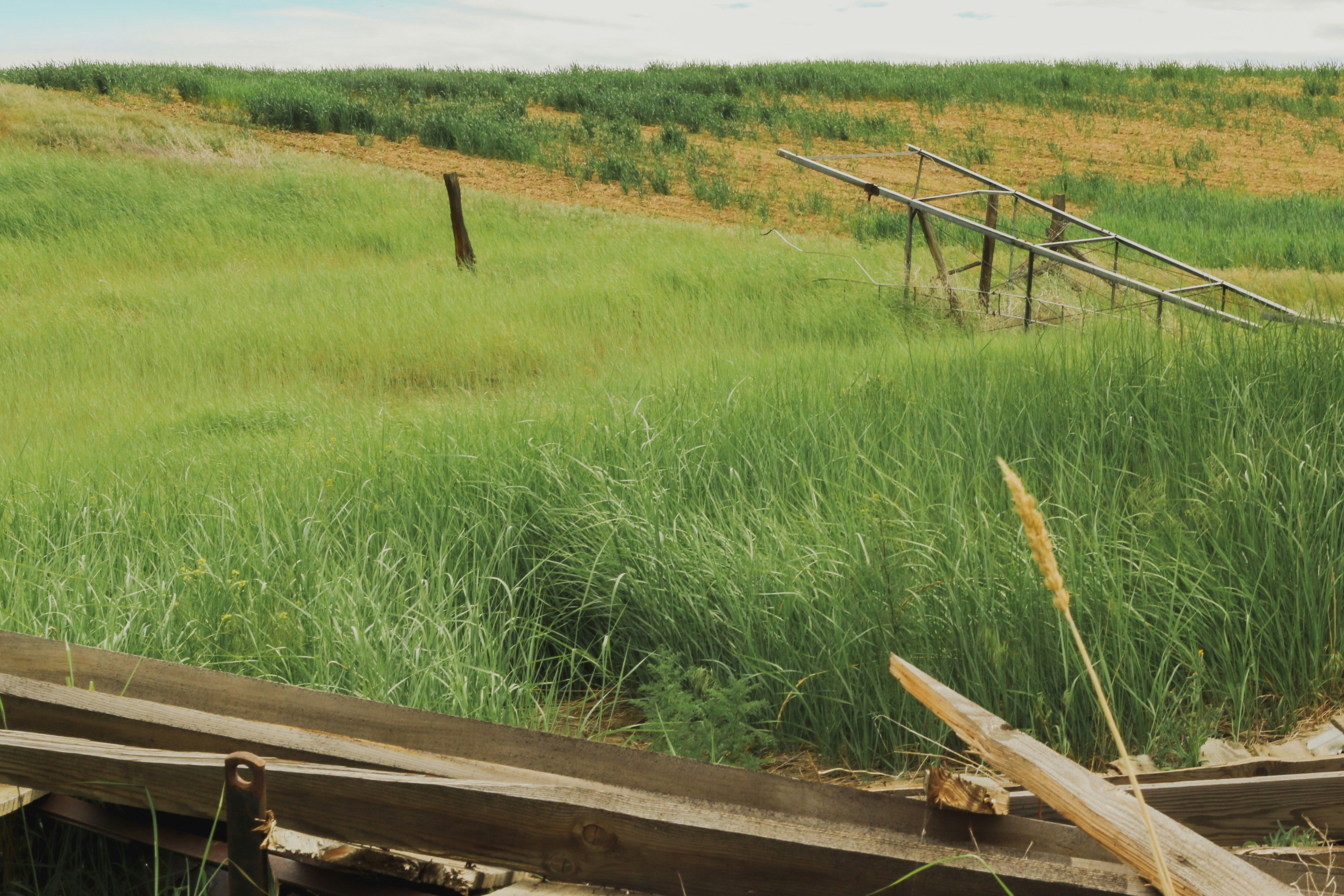 Rusted Rails Framing a Quiet Prairie