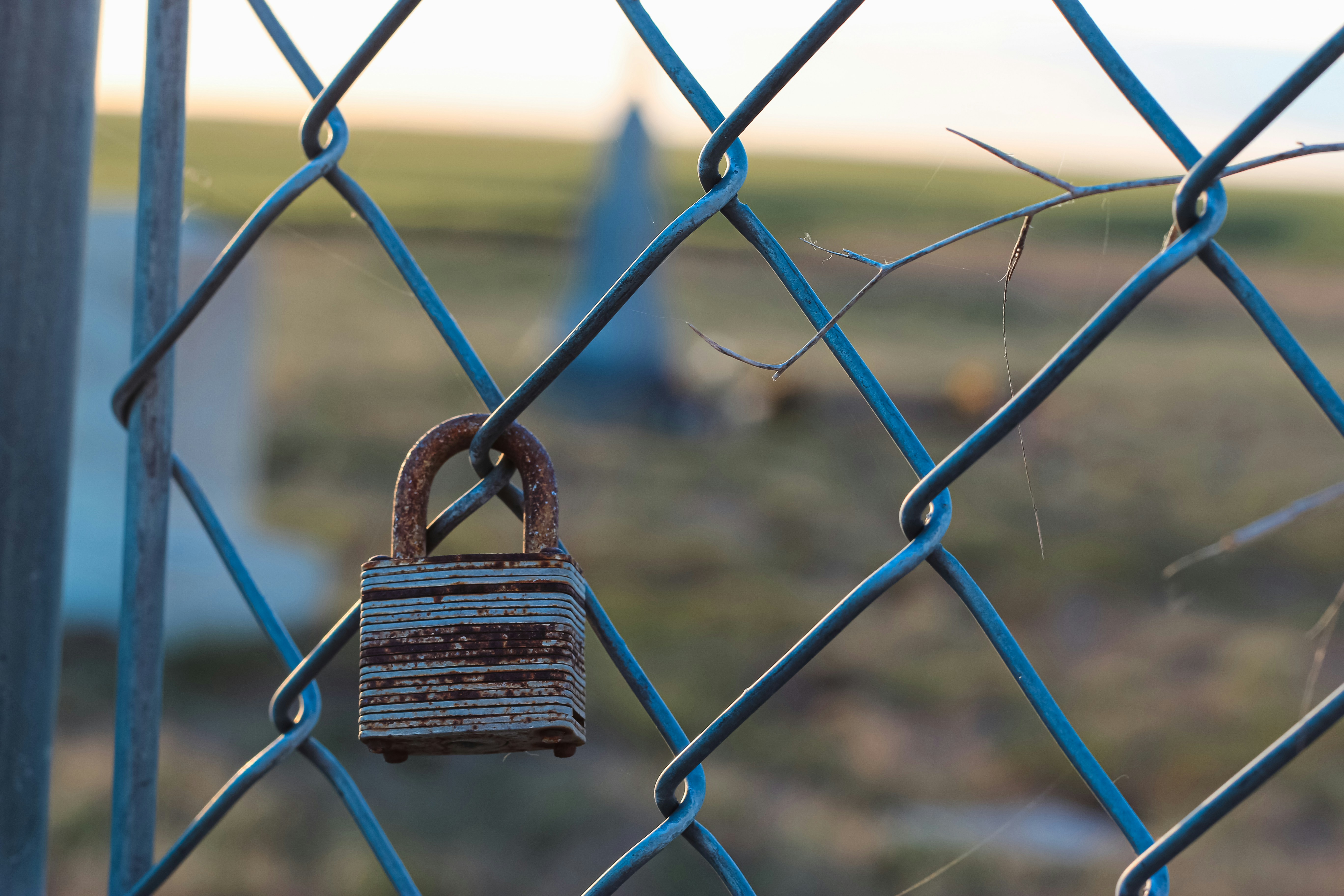 Rusty Sentinel on a Chain-Link Fence