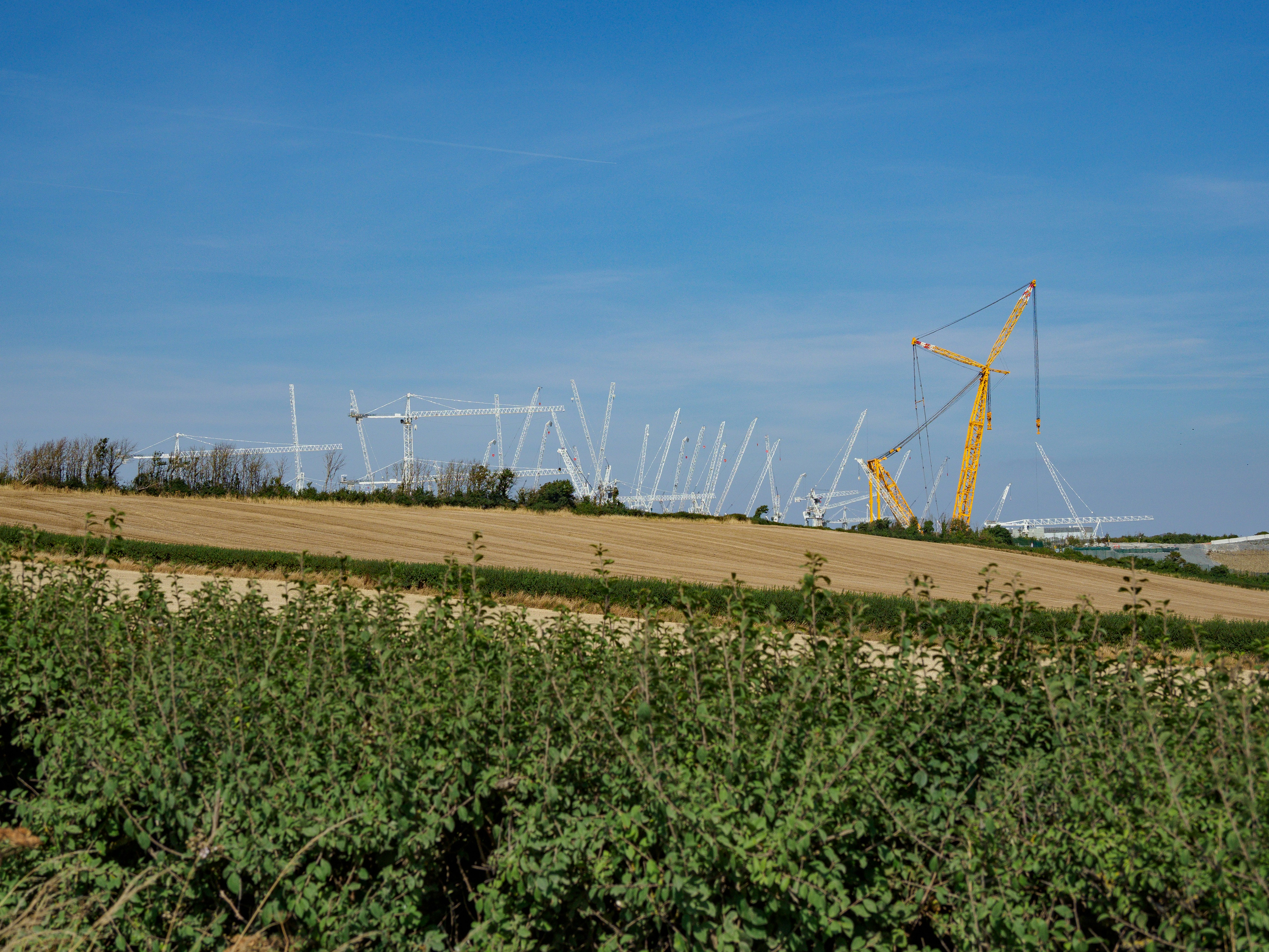 Wind Farm Horizon: Assembly in a Golden-Field