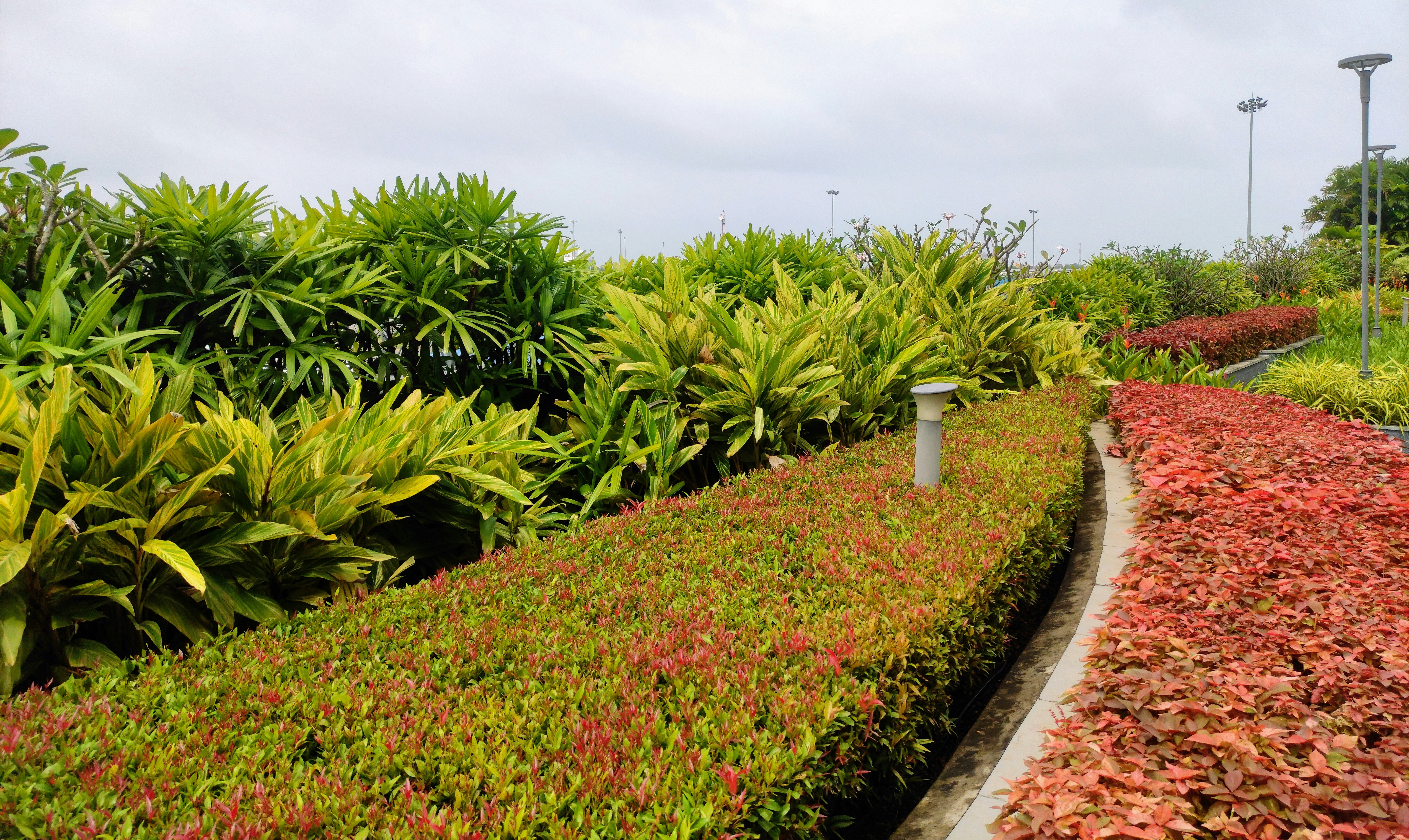 A scenic pathway lined with vibrant green and reddish foliage, creating a serene garden atmosphere. The design features neatly trimmed bushes and ornamental plants.