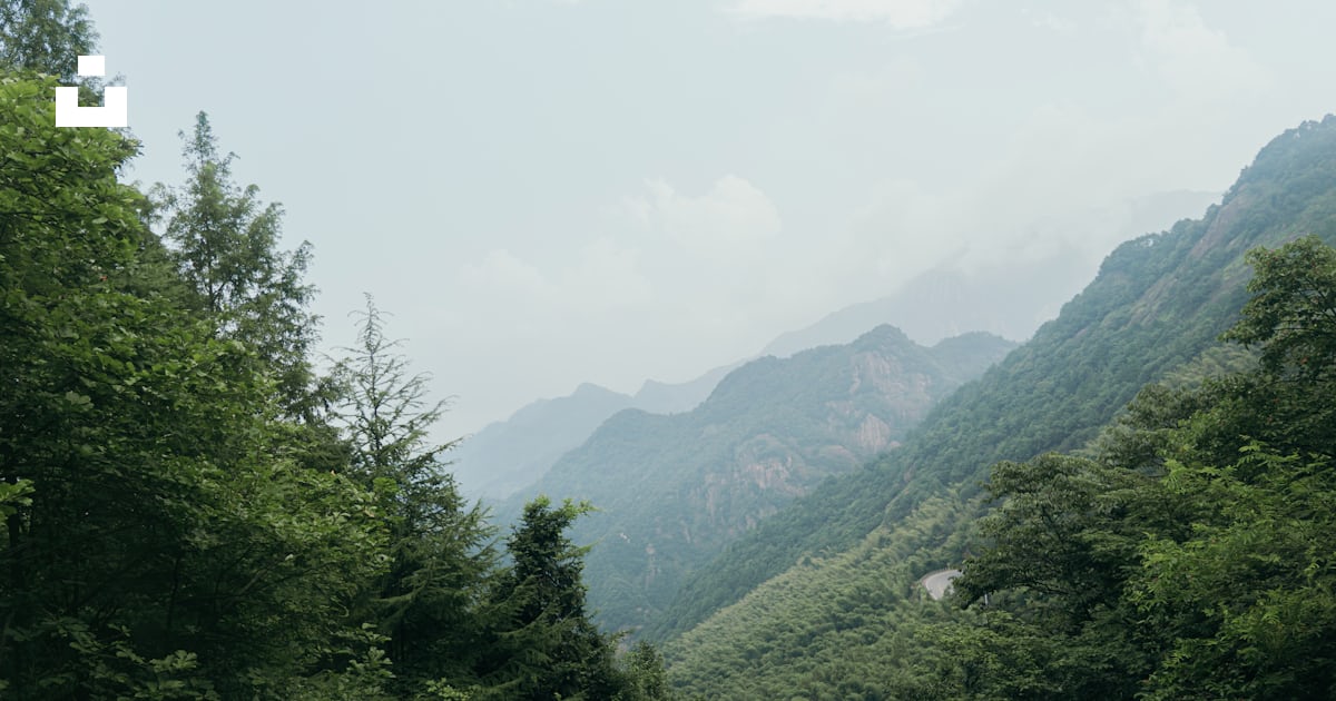 나무와 산을 배경으로 한 계곡의 전망 사진 Unsplash의 무료 회색 이미지
