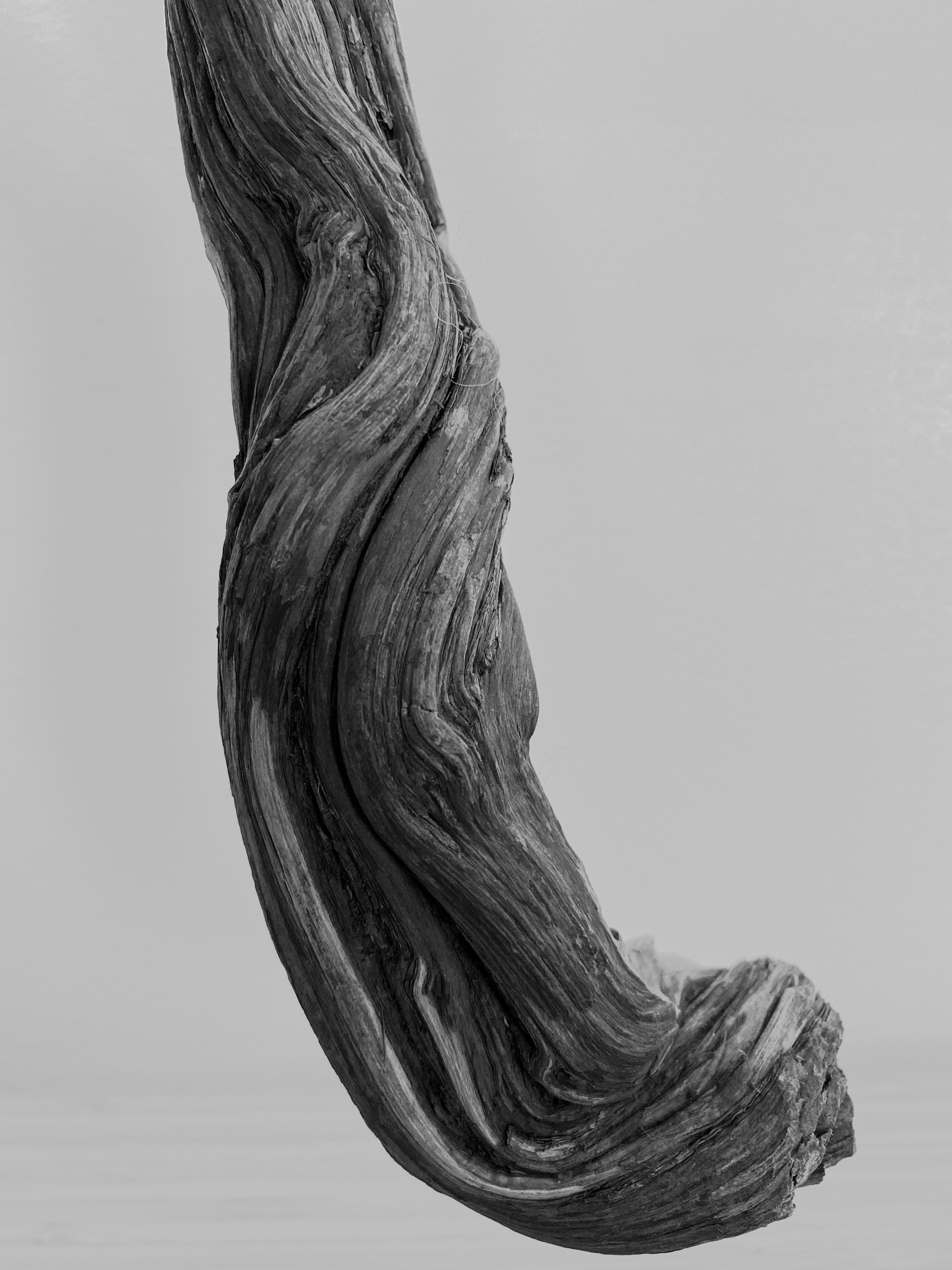 Photo by Osman Dacik with Apple iPhone 11