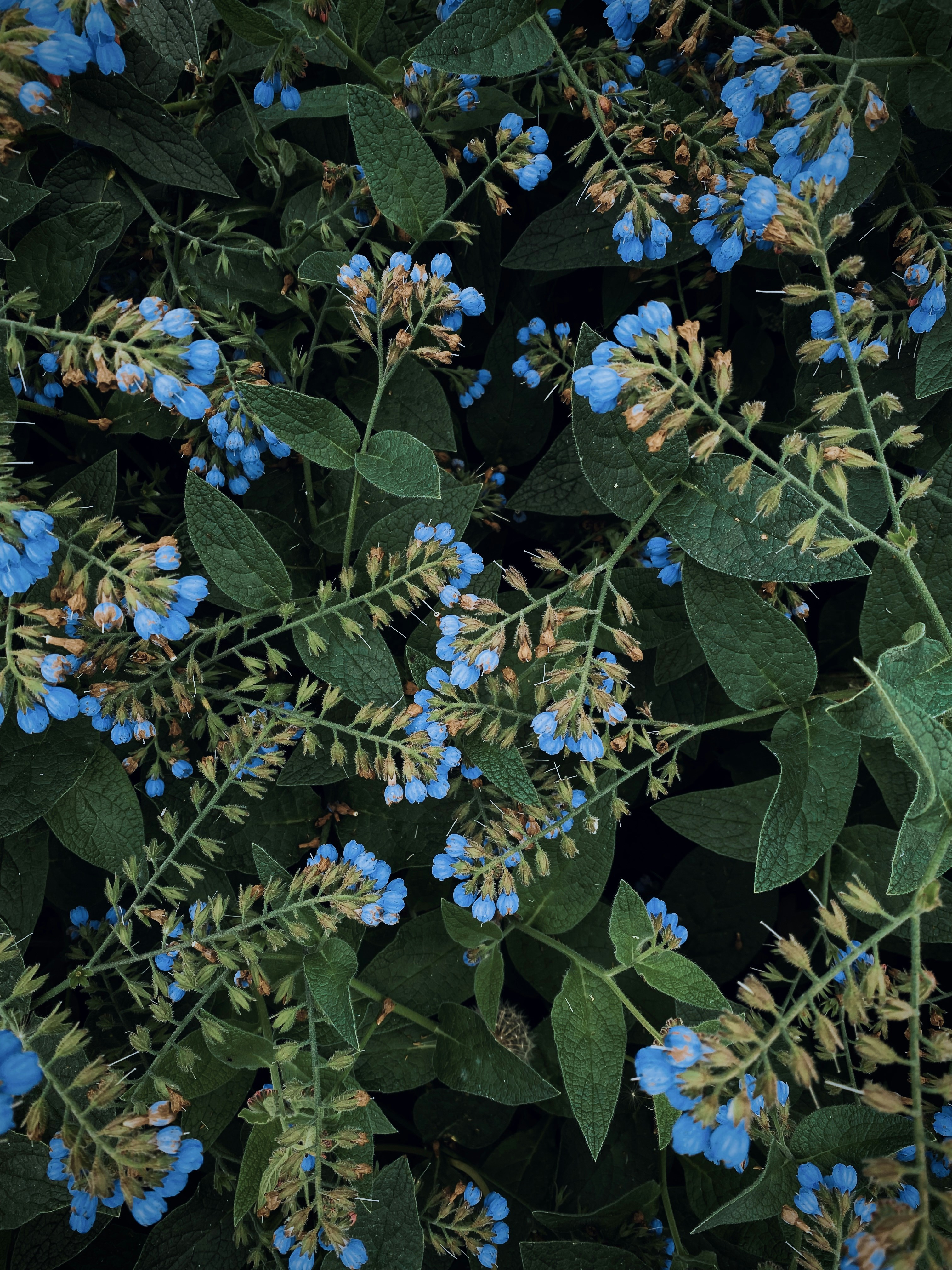background pattern