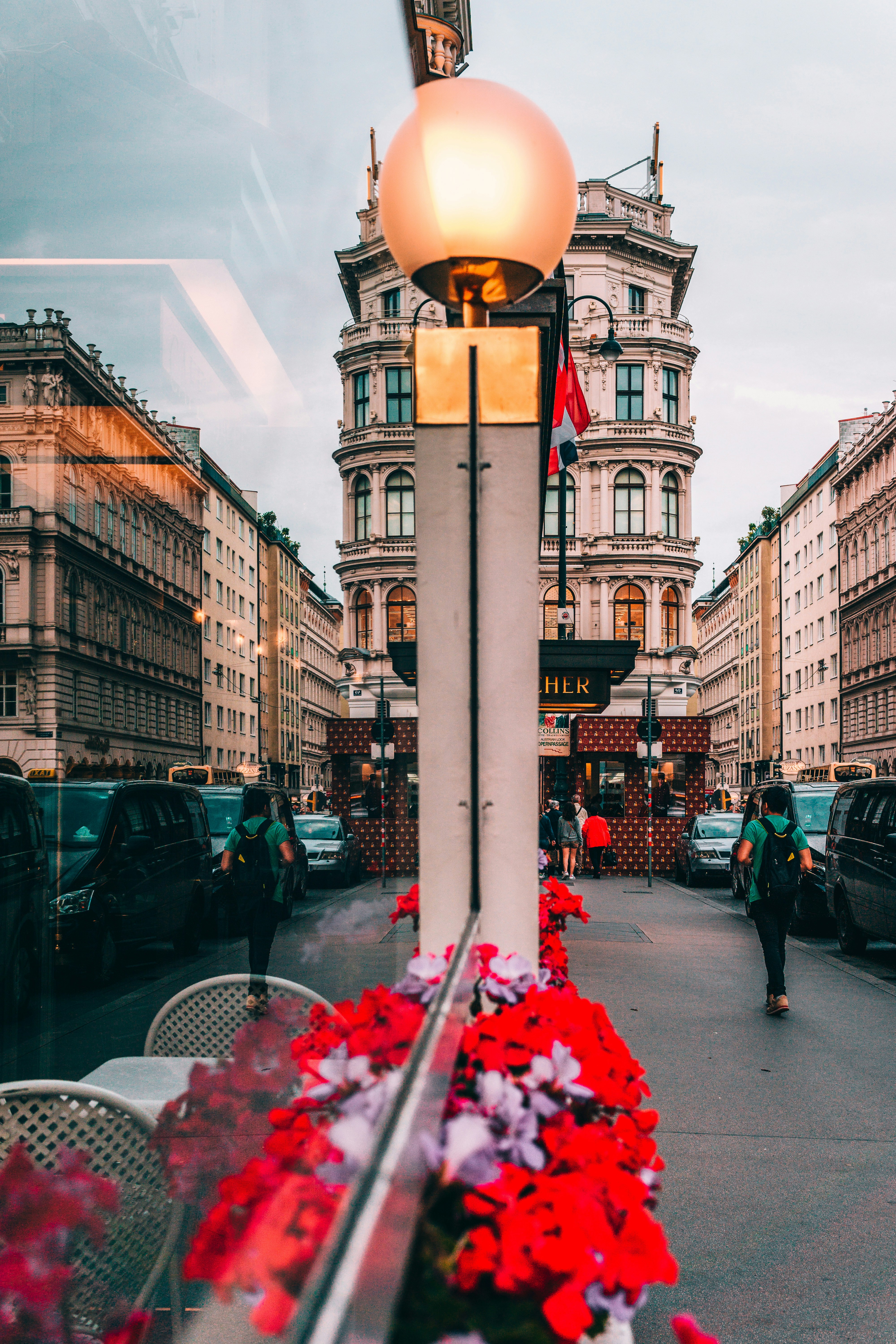 Lantern Crowned Avenue: Red Petals Framing a Grand City Street