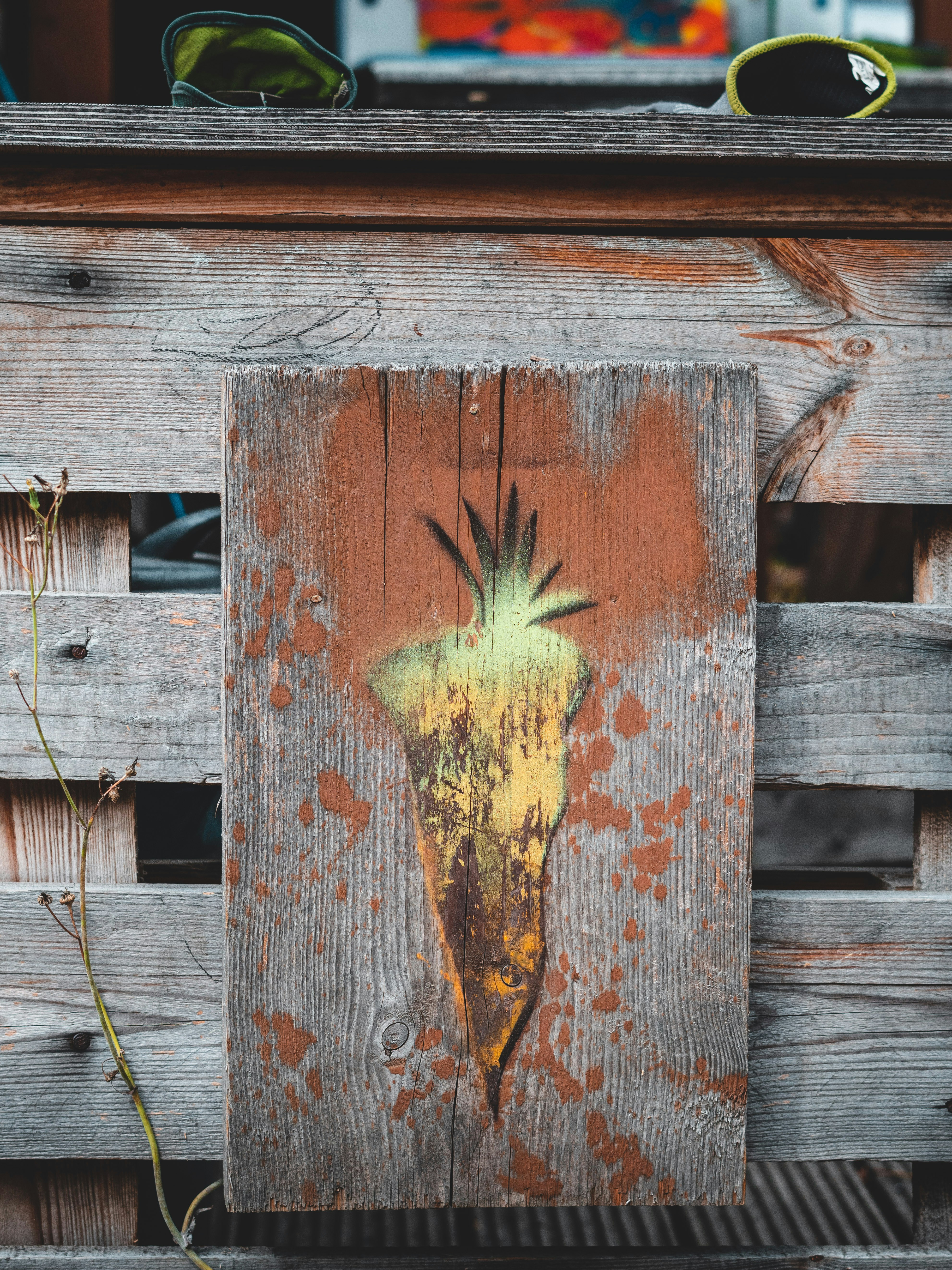 Graffiti Pineapple: A Weathered Panel on a Lattice Fence