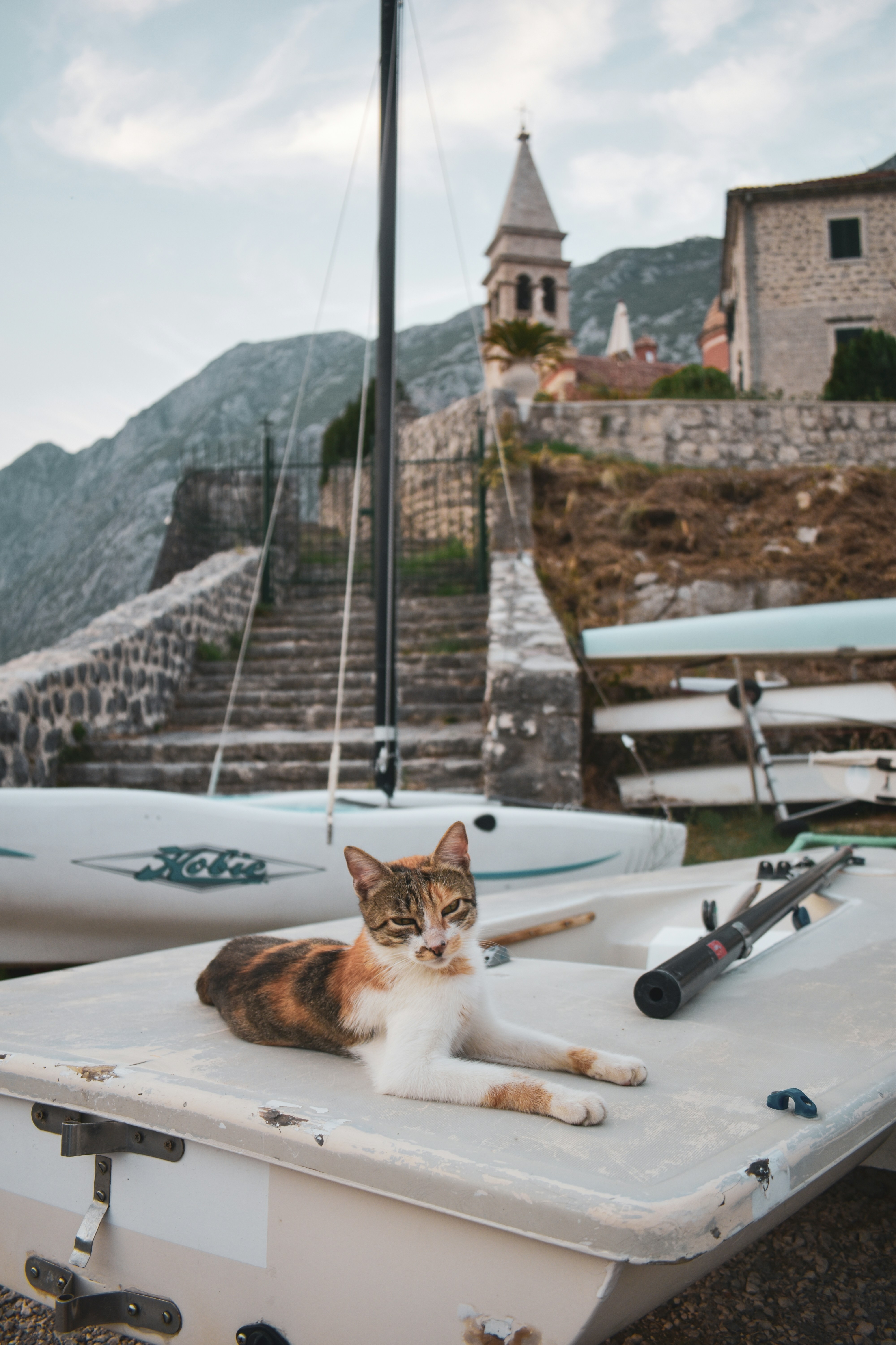 Harbor Cat at Rest Among Sails and Stone Steps