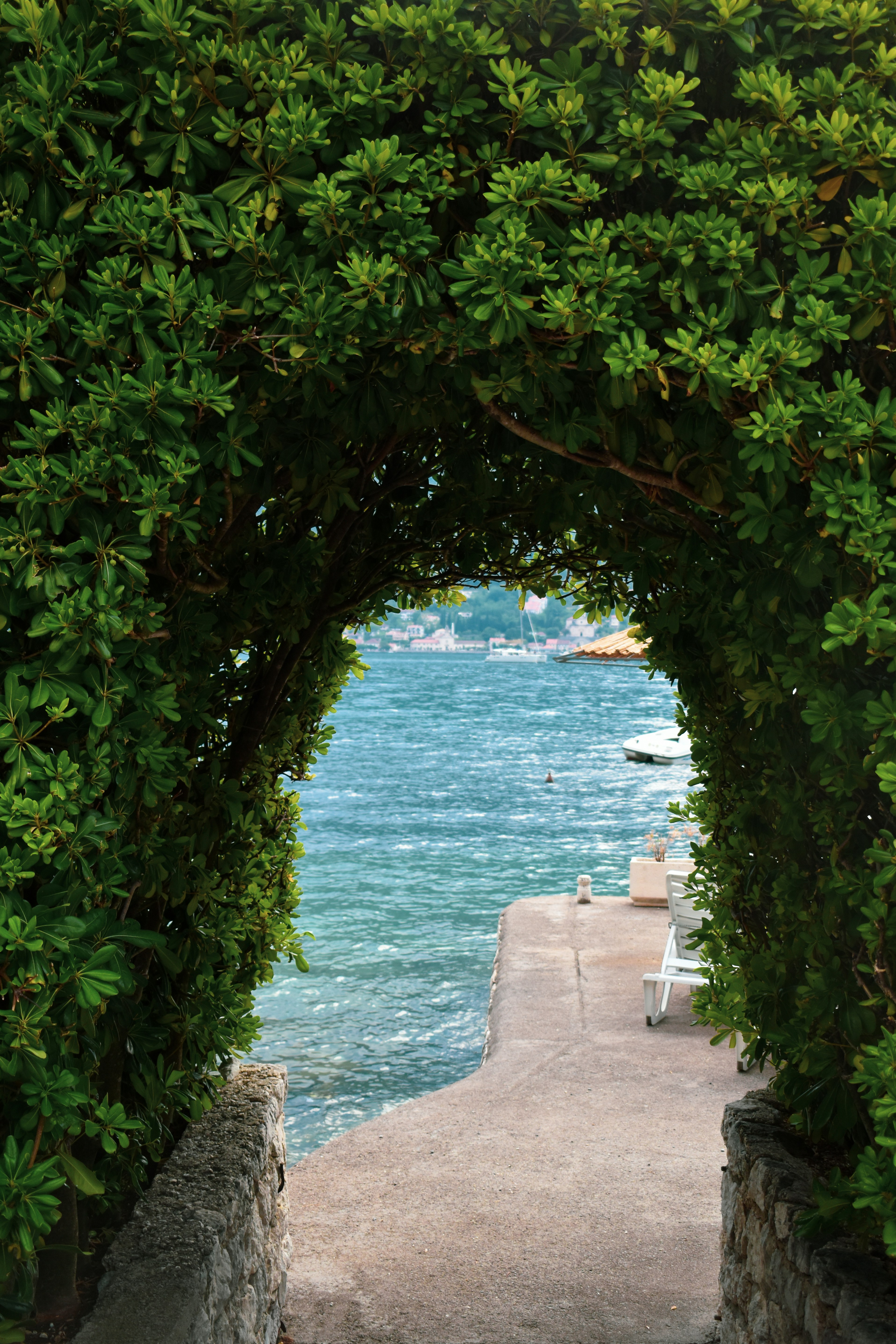 Photo by Anastasiya D with Nikon D3500