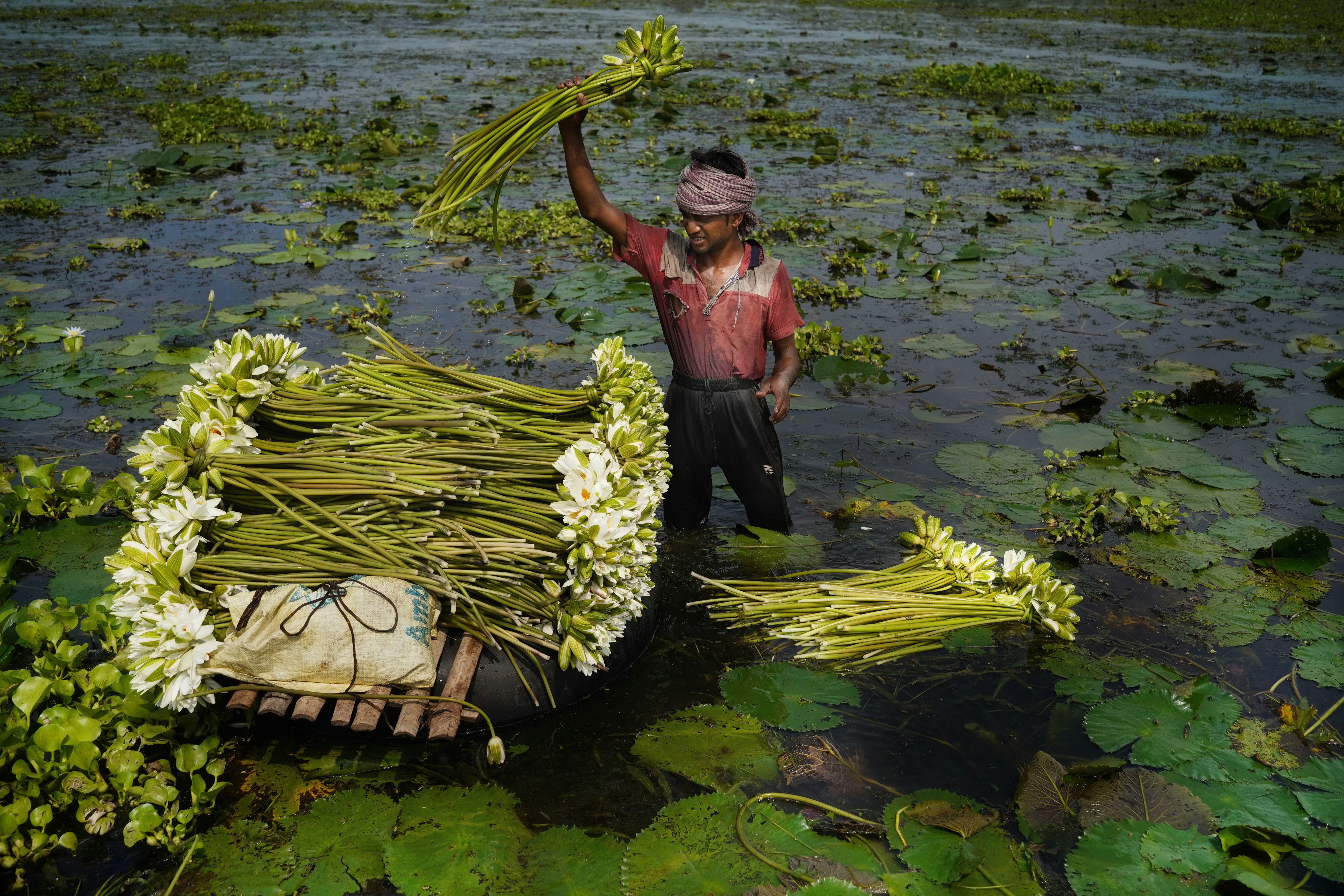a person carrying a bundle of flowers