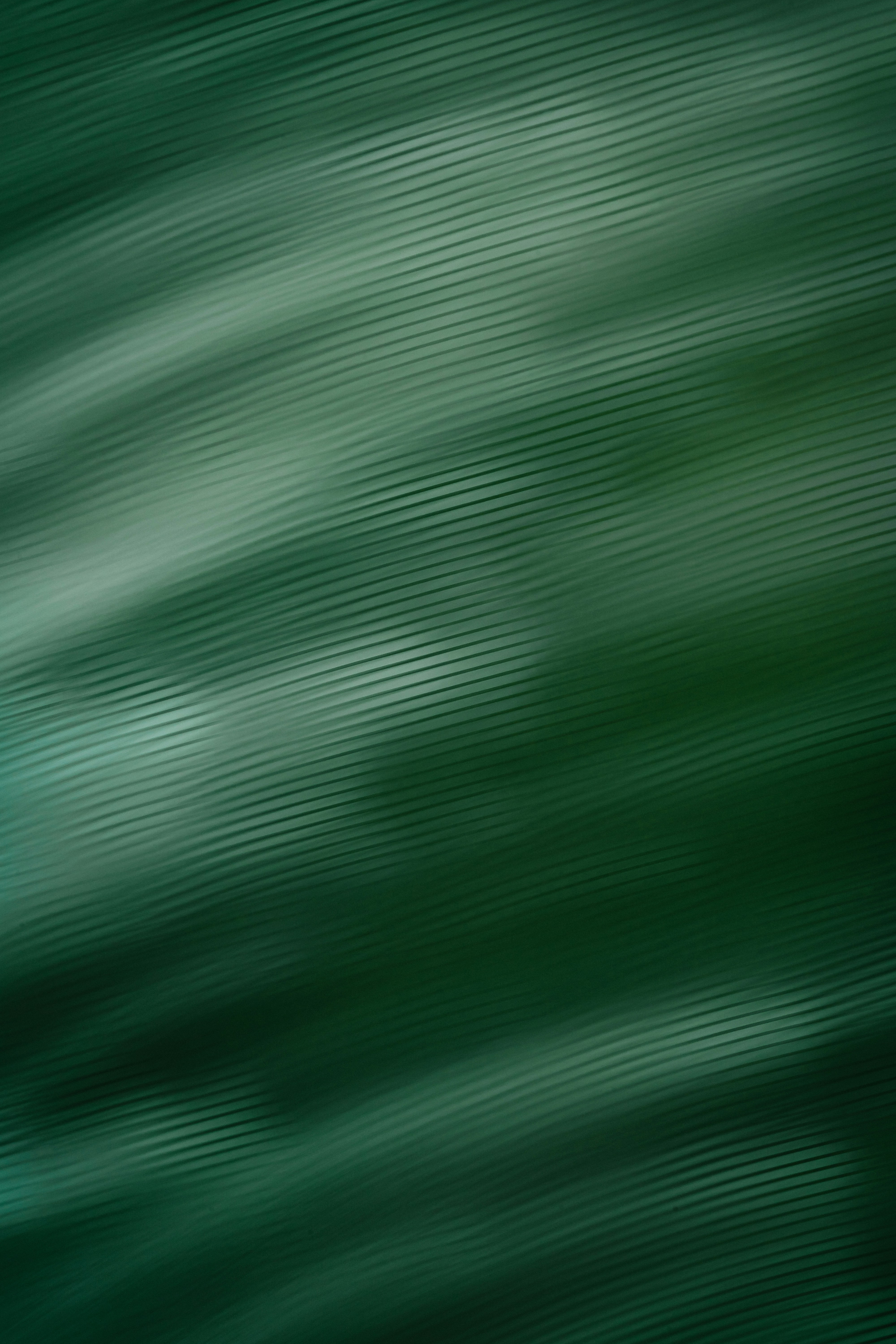 background patternMaksym Tymchyk 🇺🇦