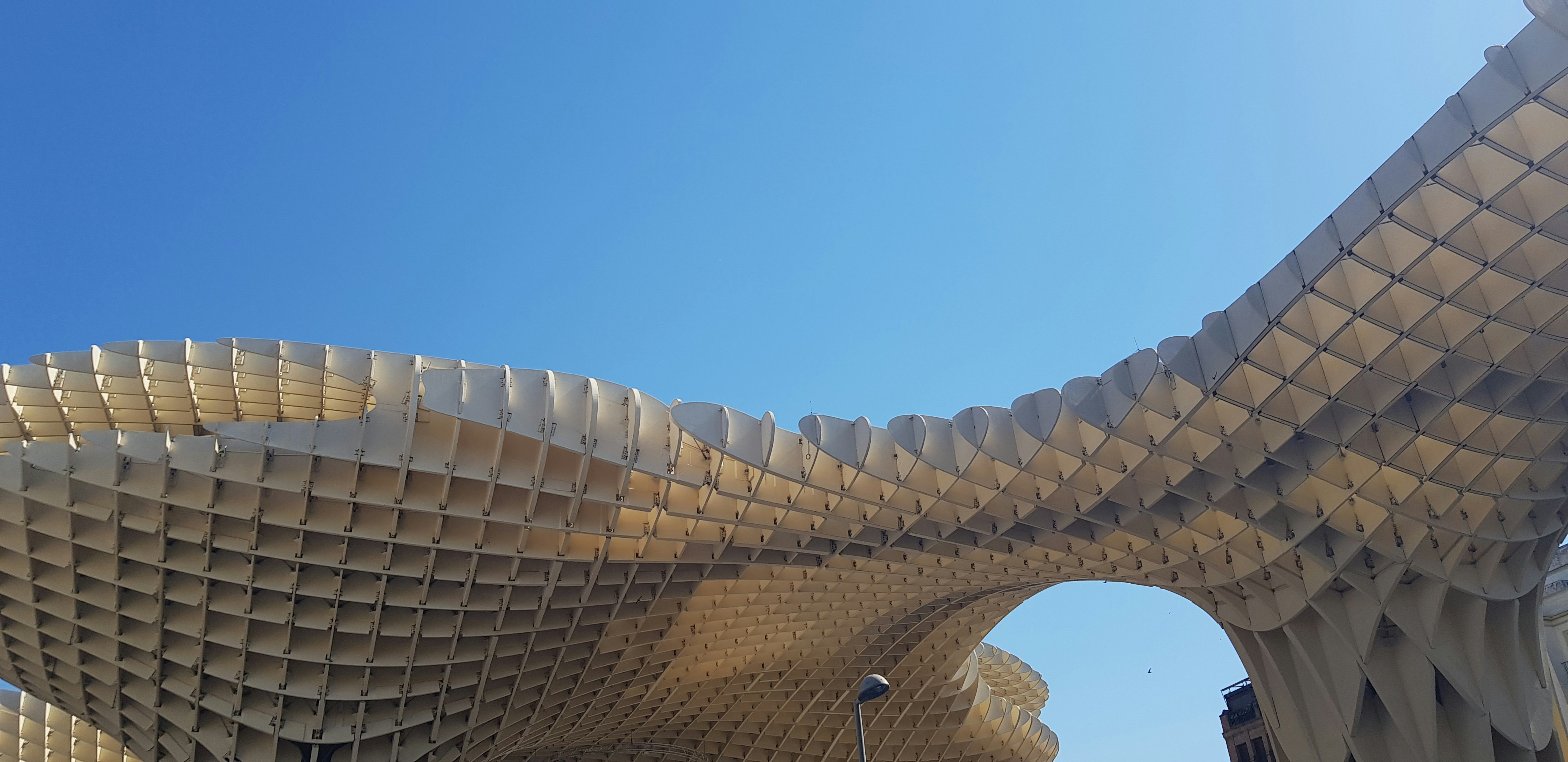 Mushroom sculptures in Seville